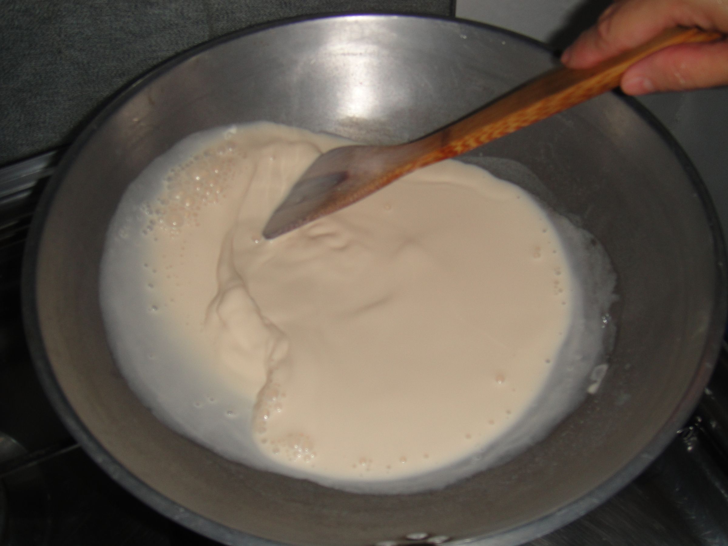 Pastillas De Leche (Philippine Soft Milk Candy) : 11 Steps (with ...