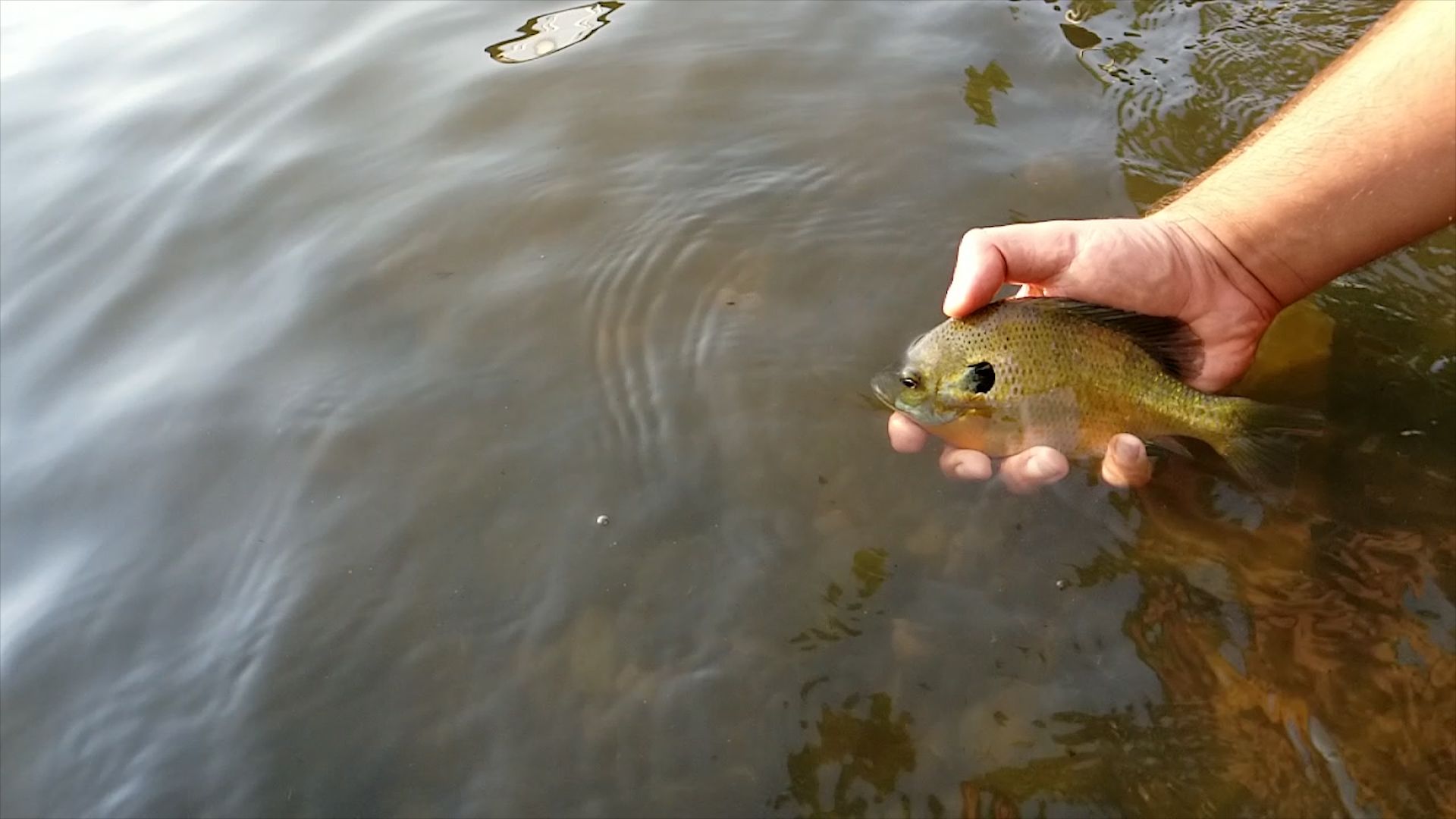 3D Printed Bobbers / Fishing Floats - Design, Make, and Test : 16 Steps ...
