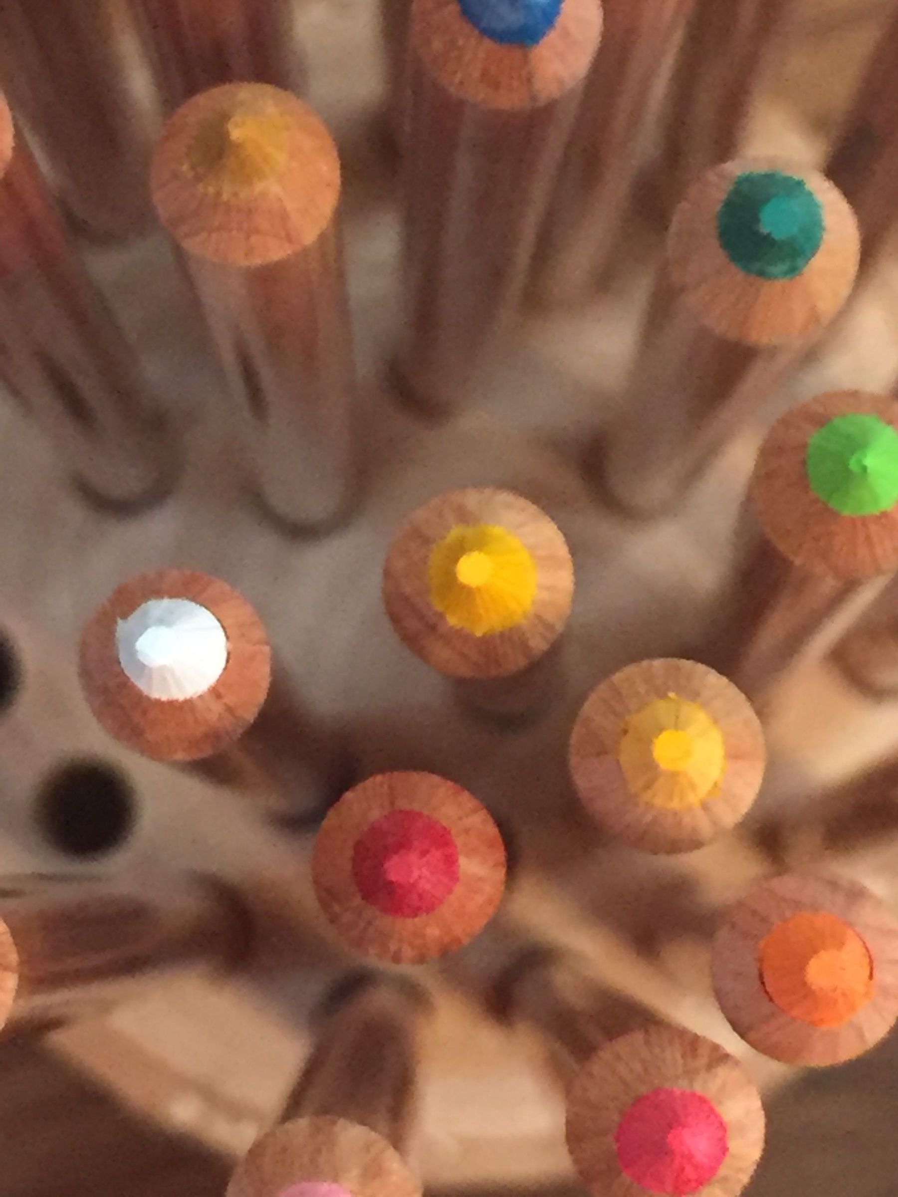 Rustic Log Pencil Holder : 3 Steps (with Pictures) - Instructables