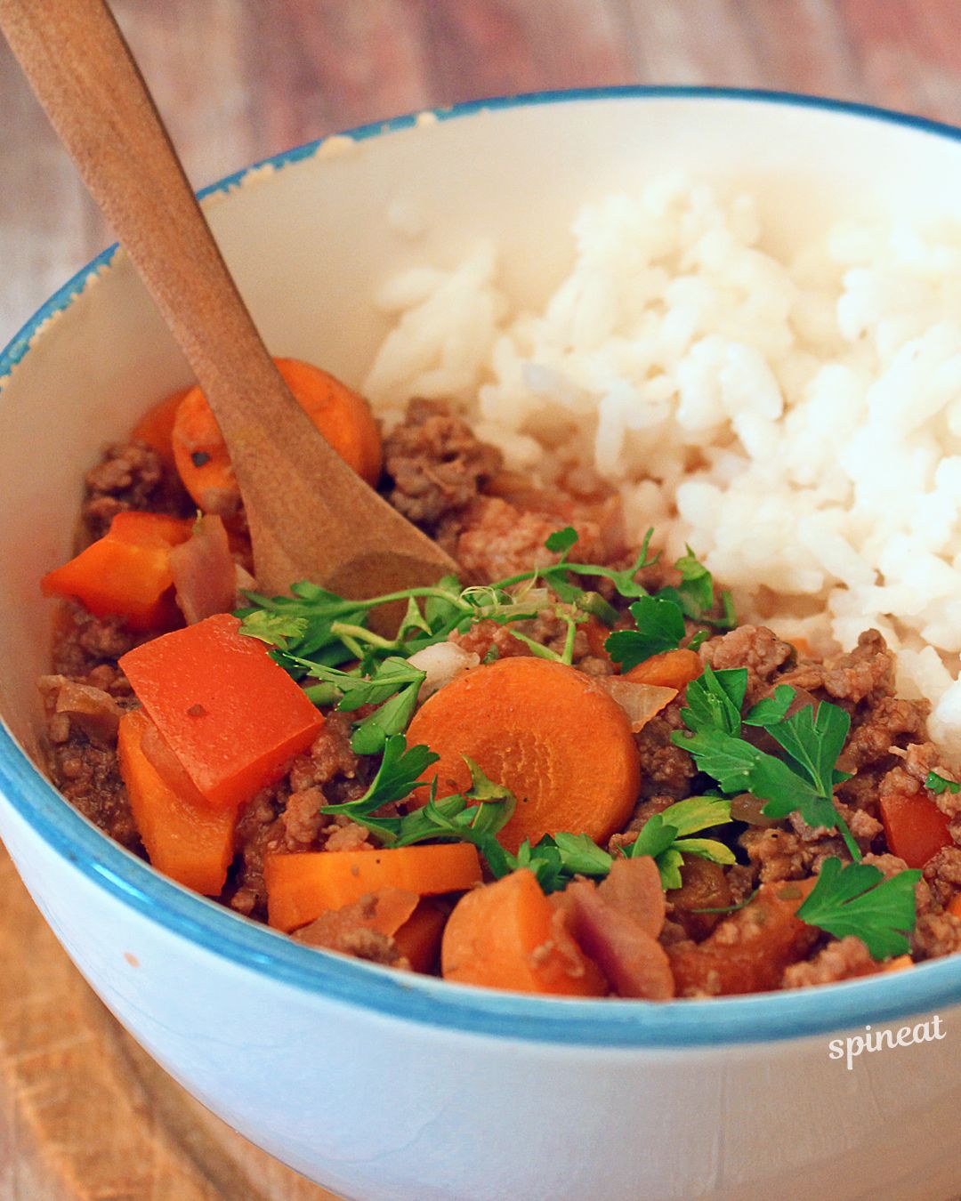 Ground Beef Bolognese Sauce With Rice : 6 Steps (with Pictures ...
