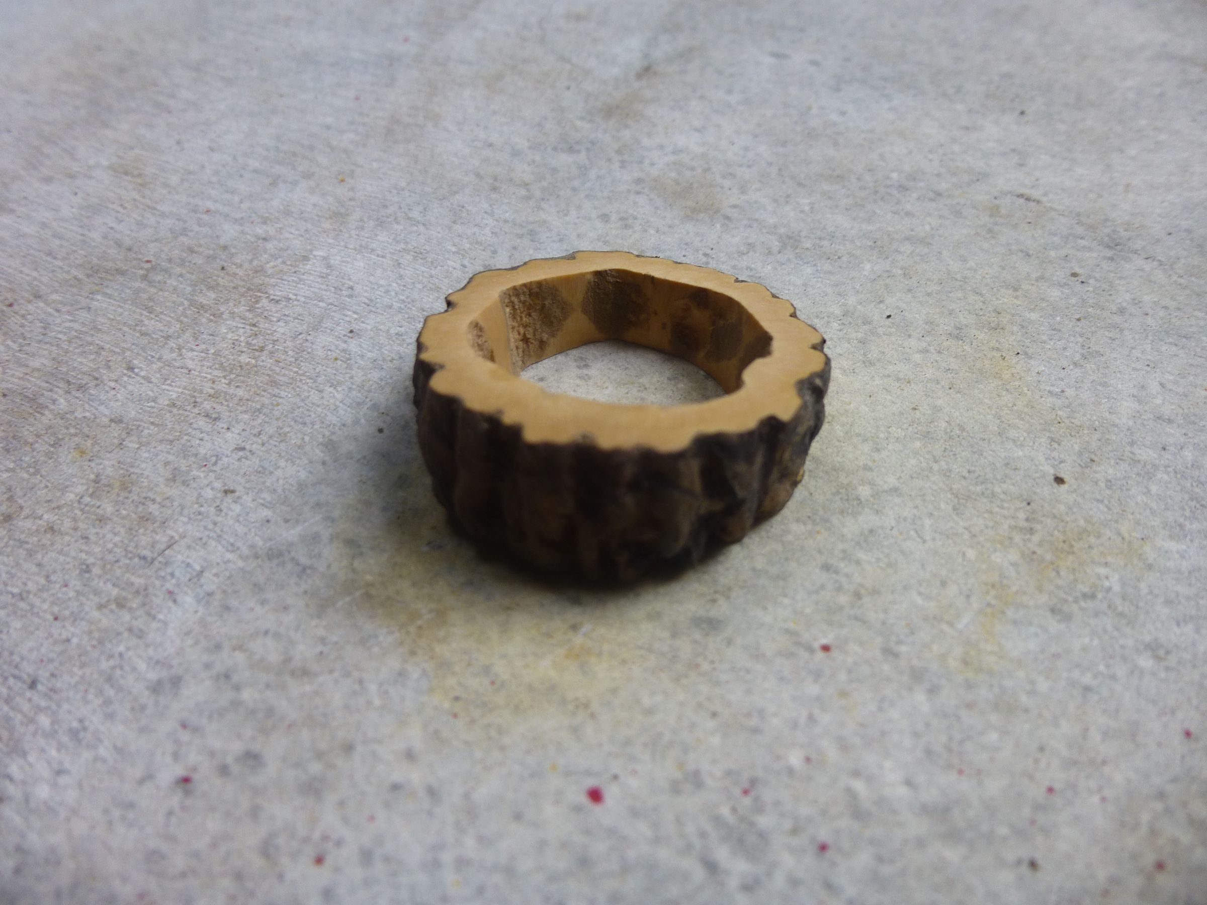 Black Walnut Seed Ring. : 4 Steps (with Pictures) - Instructables