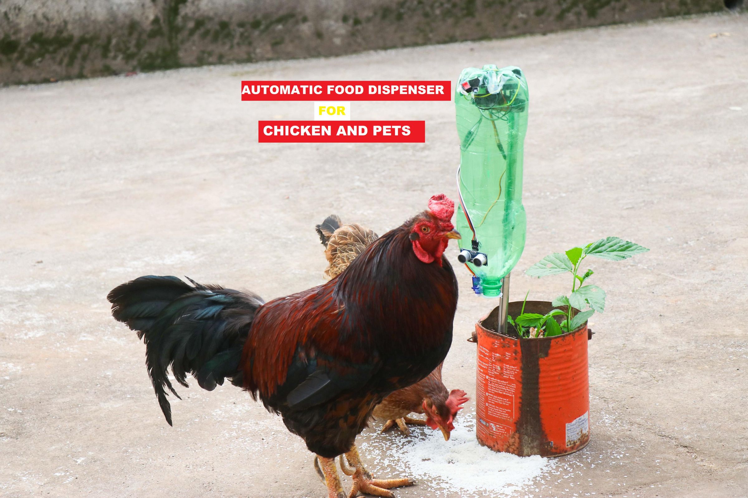 DIY Automatic Food Dispenser for Chickens and Pets : 7 Steps (with ...