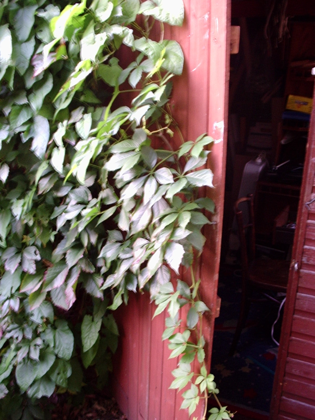 Plasmana's Workshop - Instructables