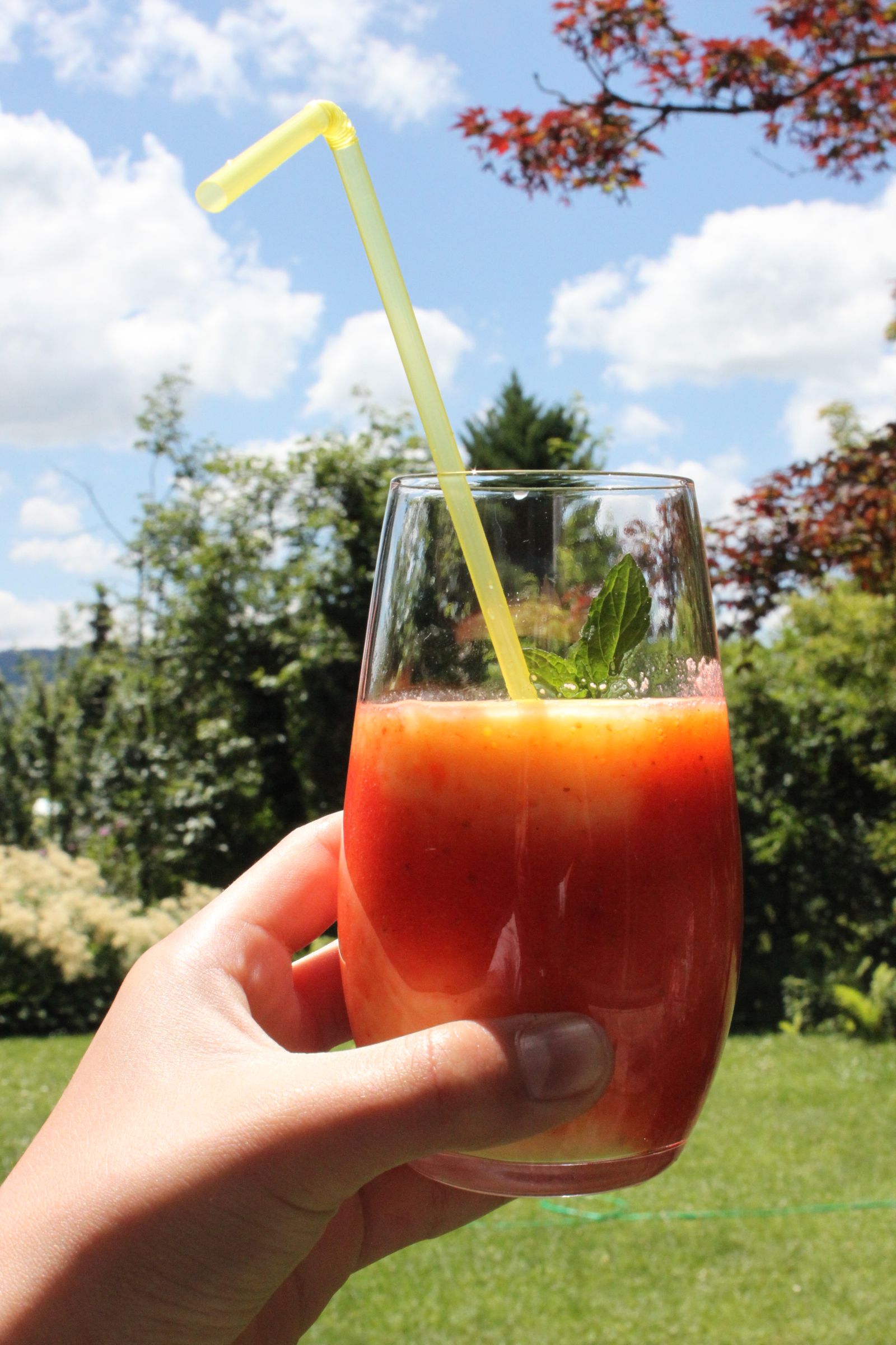 Strawberry Mango Lassi : 6 Steps (with Pictures) - Instructables