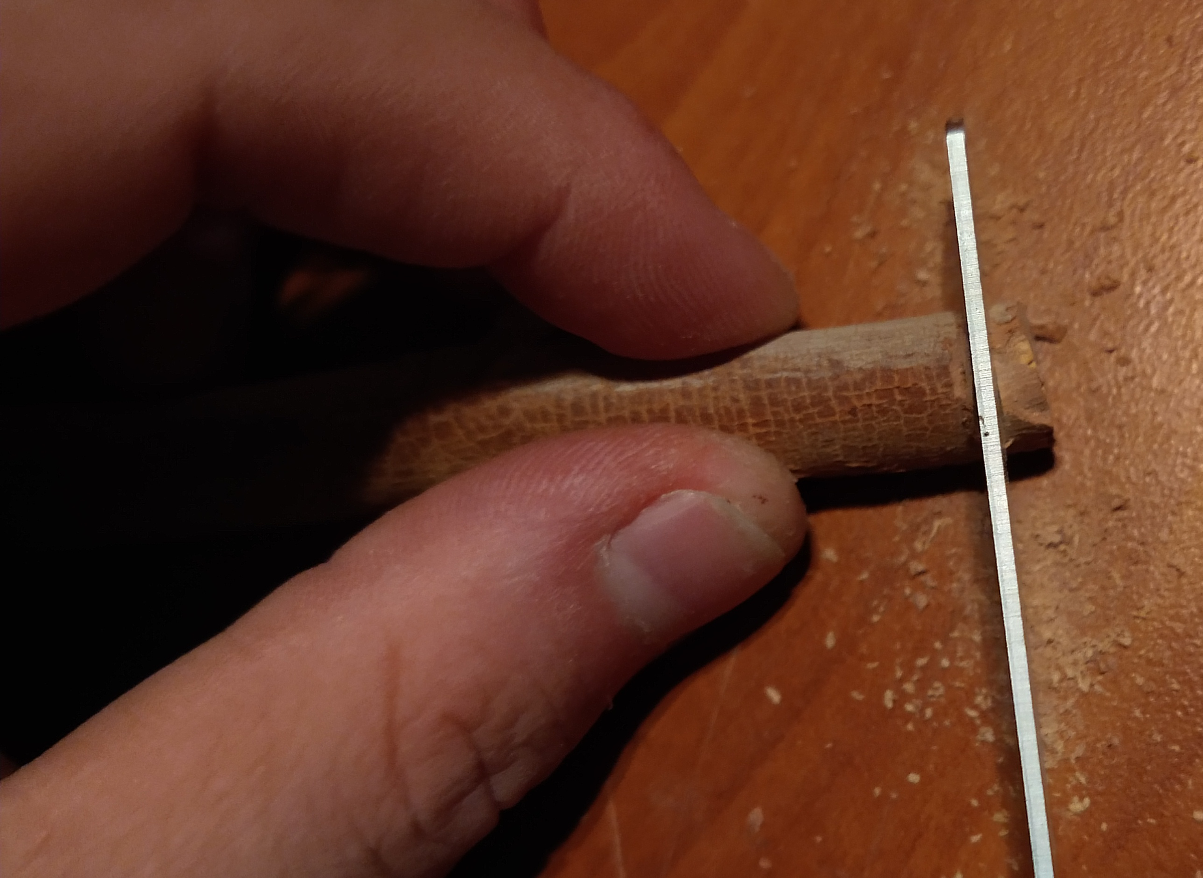 Perfect Praying Mantis Cups : 9 Steps (with Pictures) - Instructables