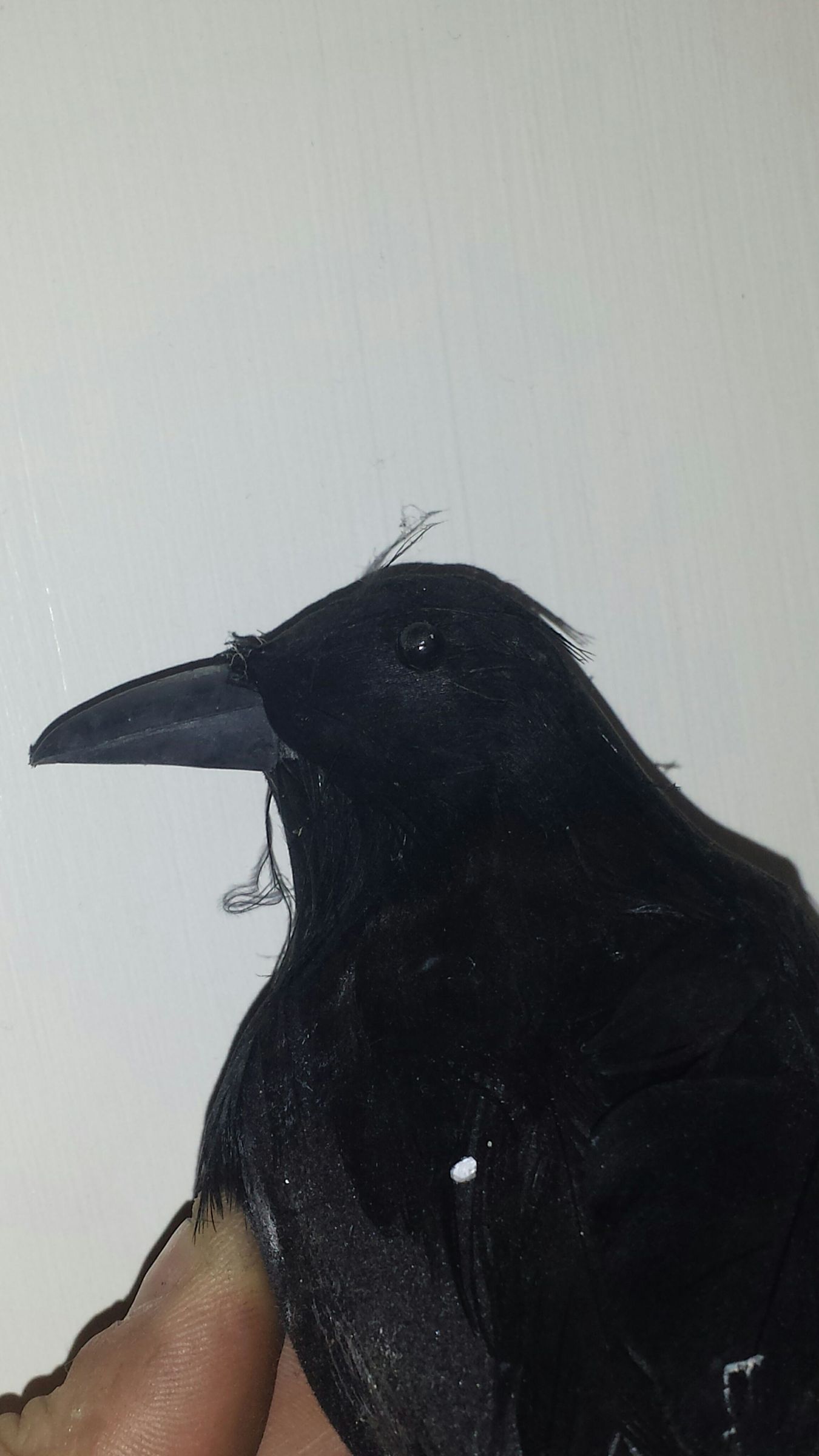 Guts and Gore Halloween Props : 8 Steps (with Pictures) - Instructables