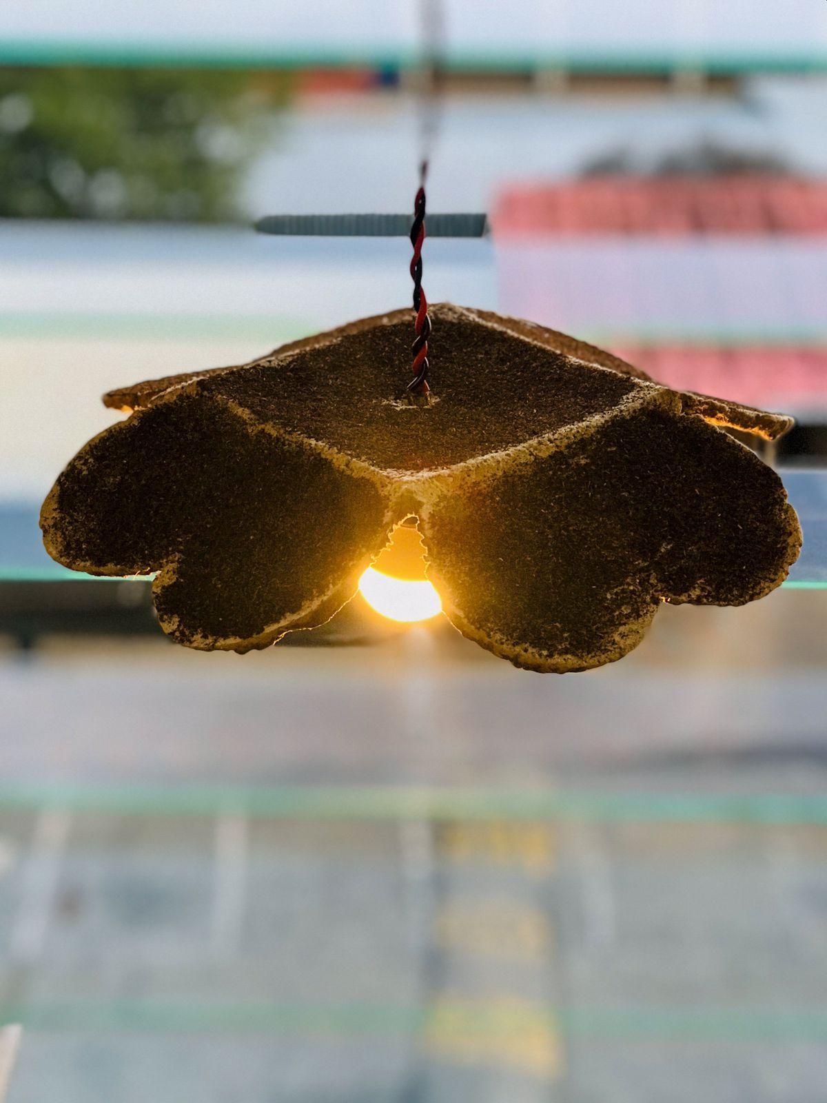 Bio-degradable Luminaire. : 4 Steps - Instructables