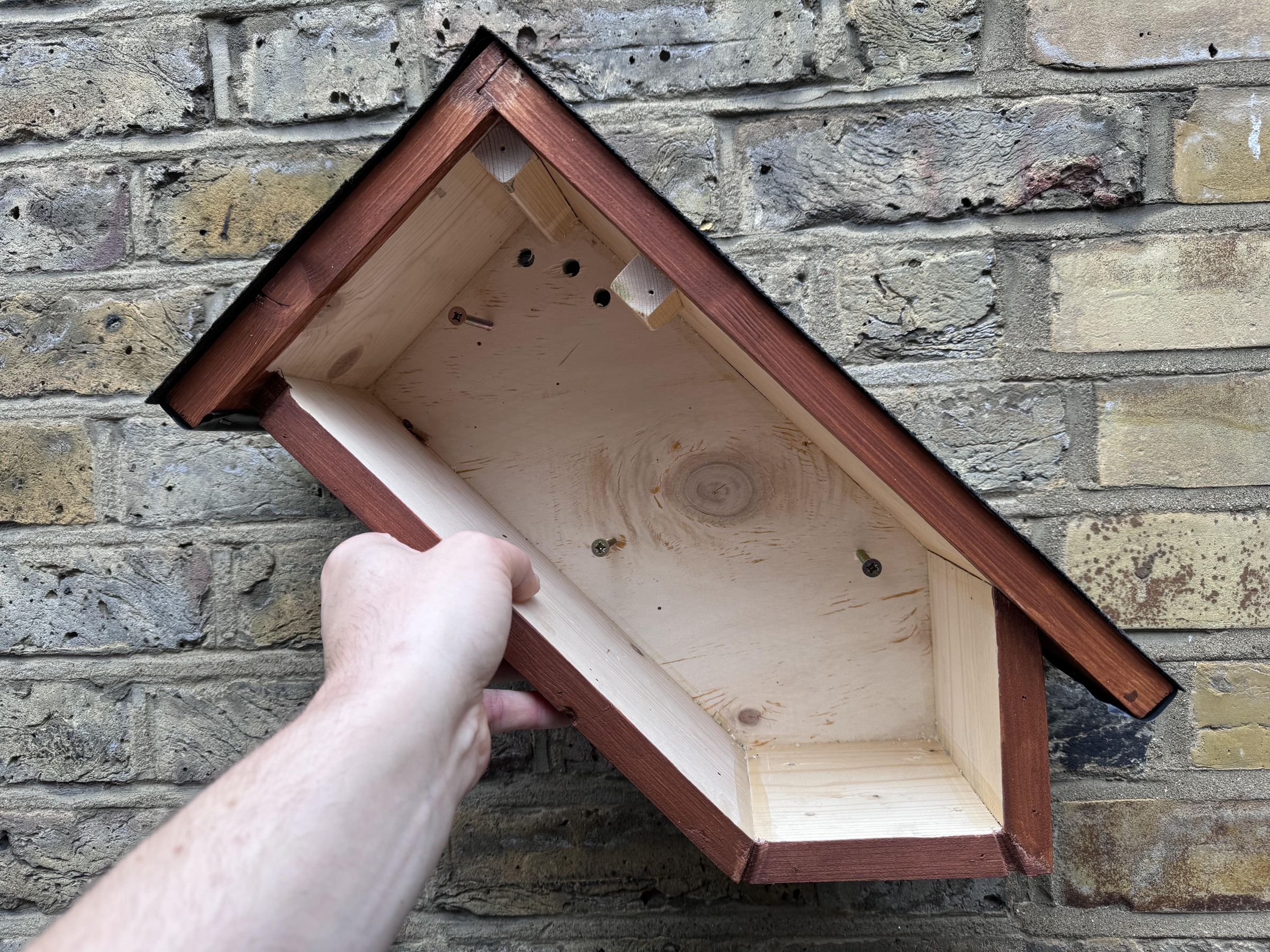 Side View Bird Box Camera and BlueTit Diary : 70 Steps (with Pictures ...