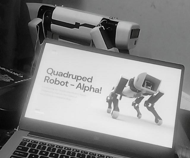 Quadruped Robot Alpha Esp32 Based Spot Micro Robot 14 Steps With