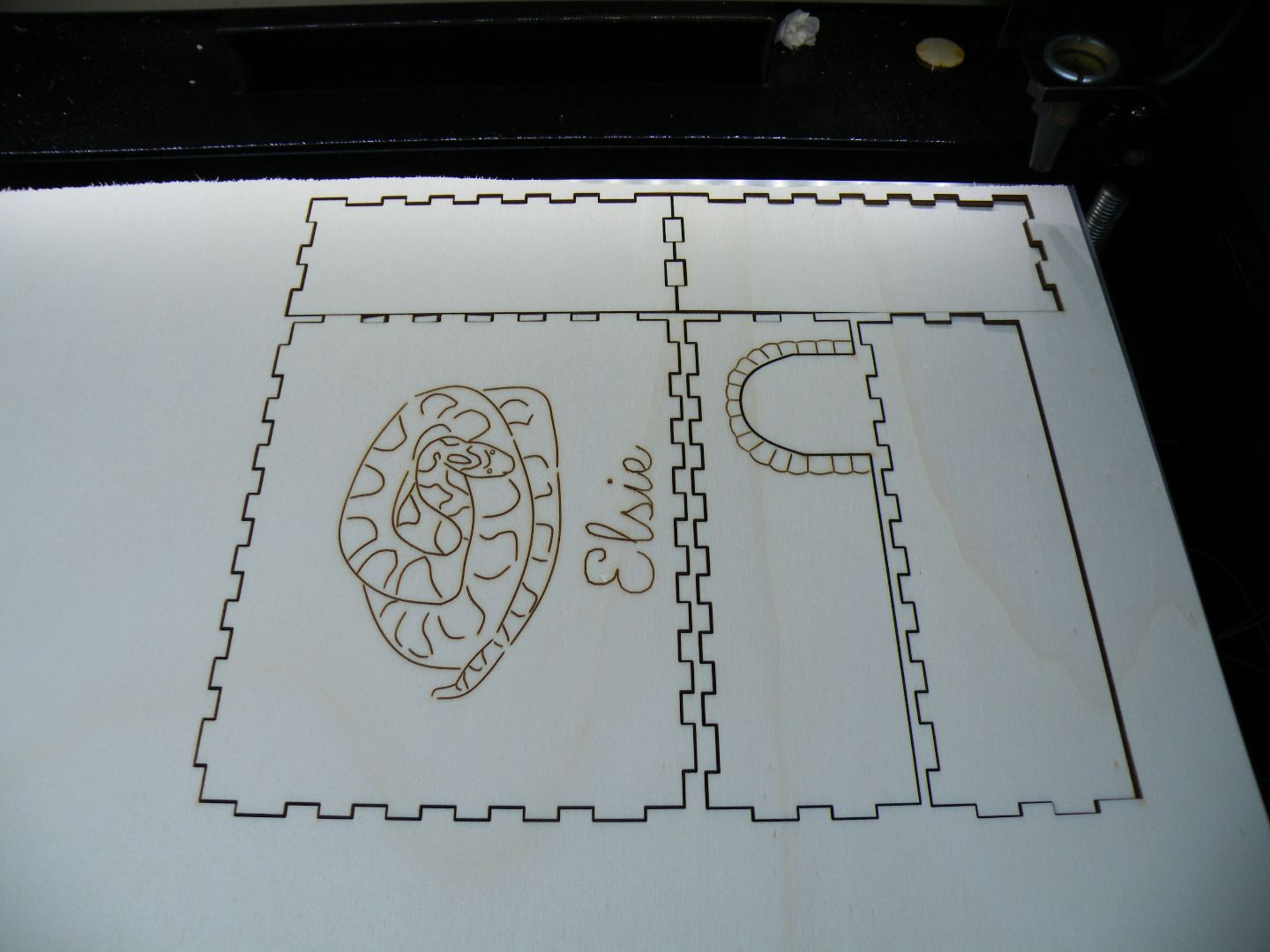 Simple Snake Home : 5 Steps (with Pictures) - Instructables