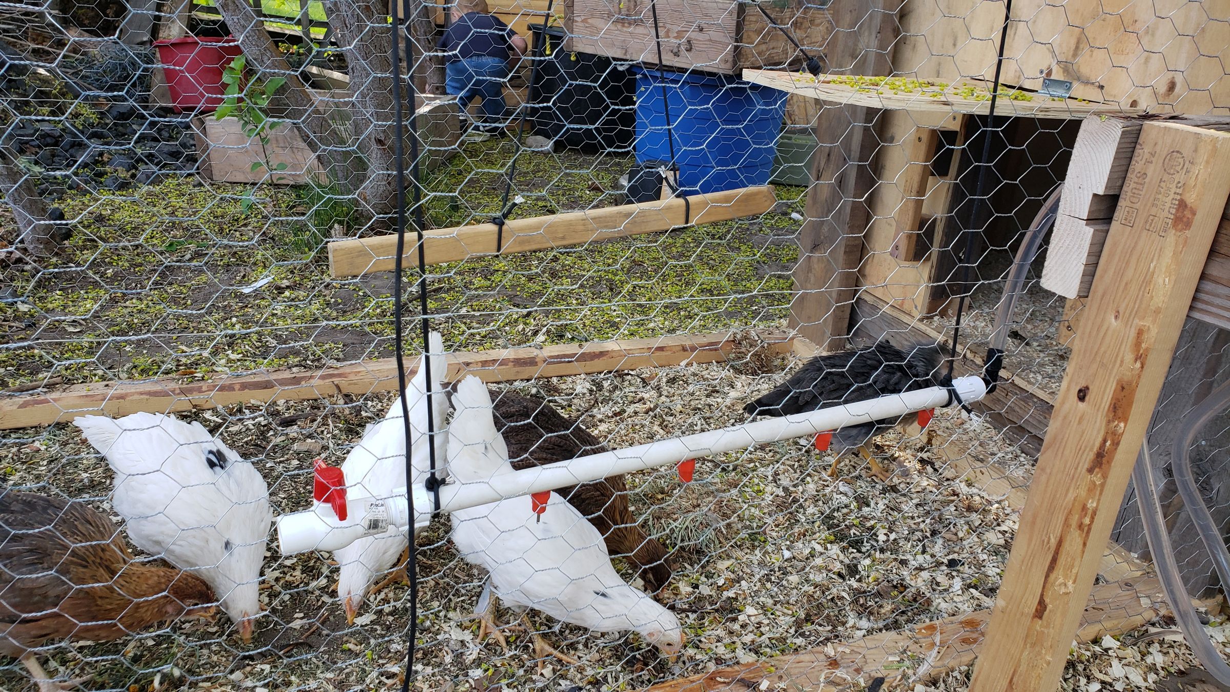 Chicken Water Tower : 3 Steps - Instructables