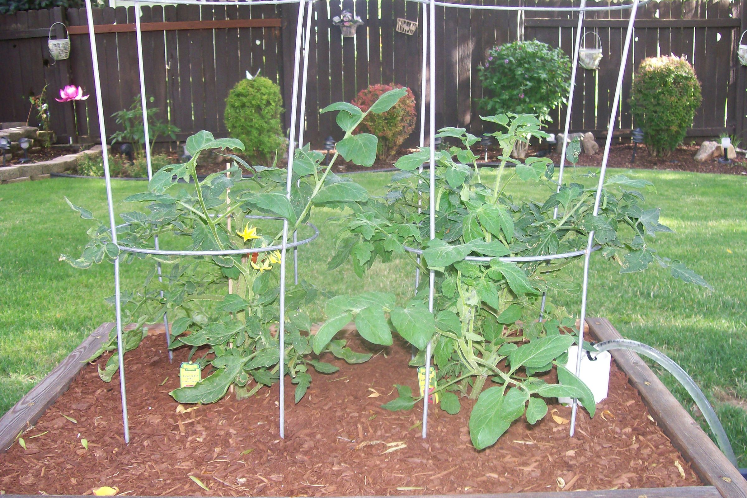 How to Build Your Own Growing Containers : 13 Steps - Instructables