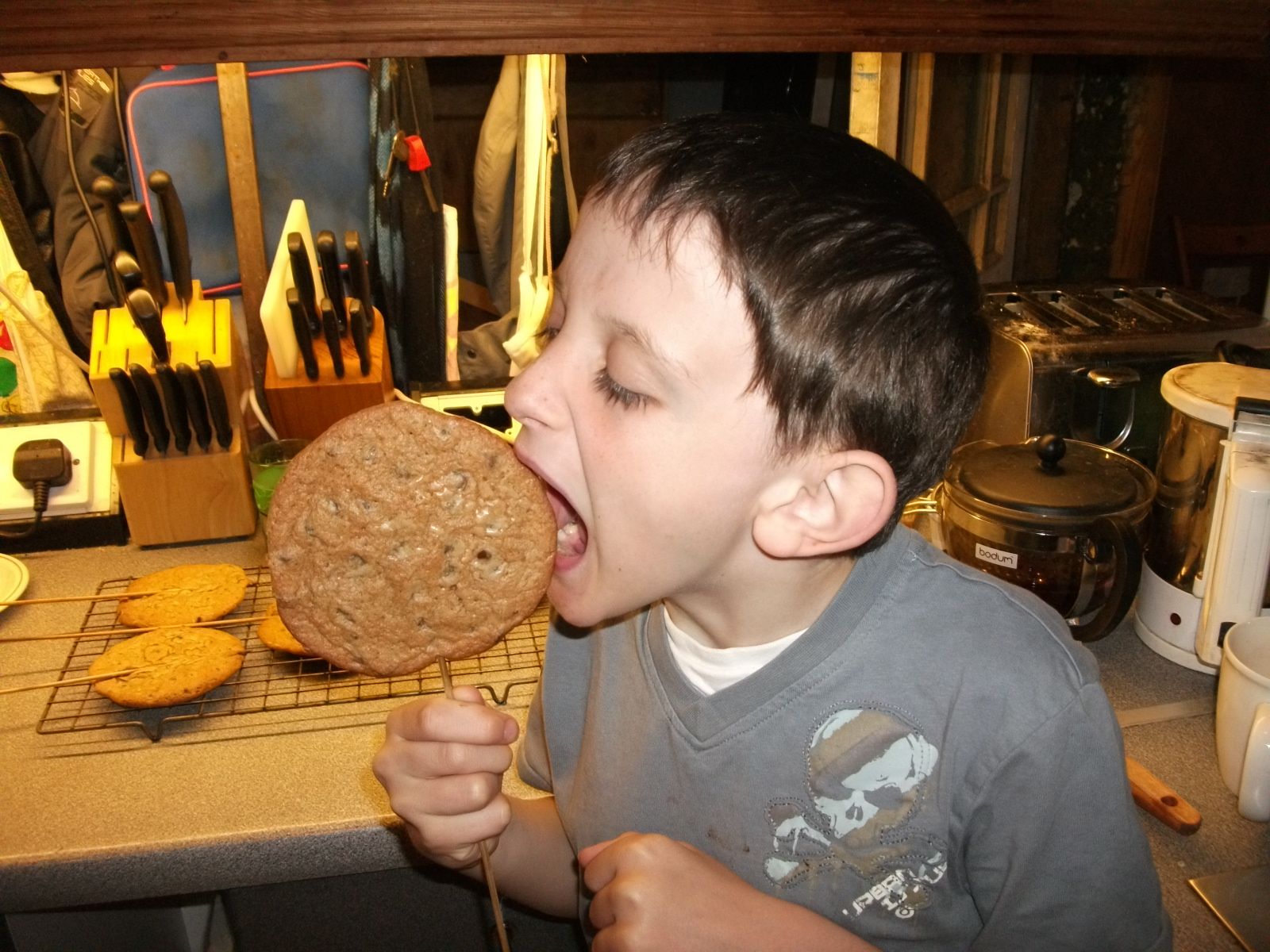 Chocolate Chip Stookies or Bis-sticks : 4 Steps - Instructables