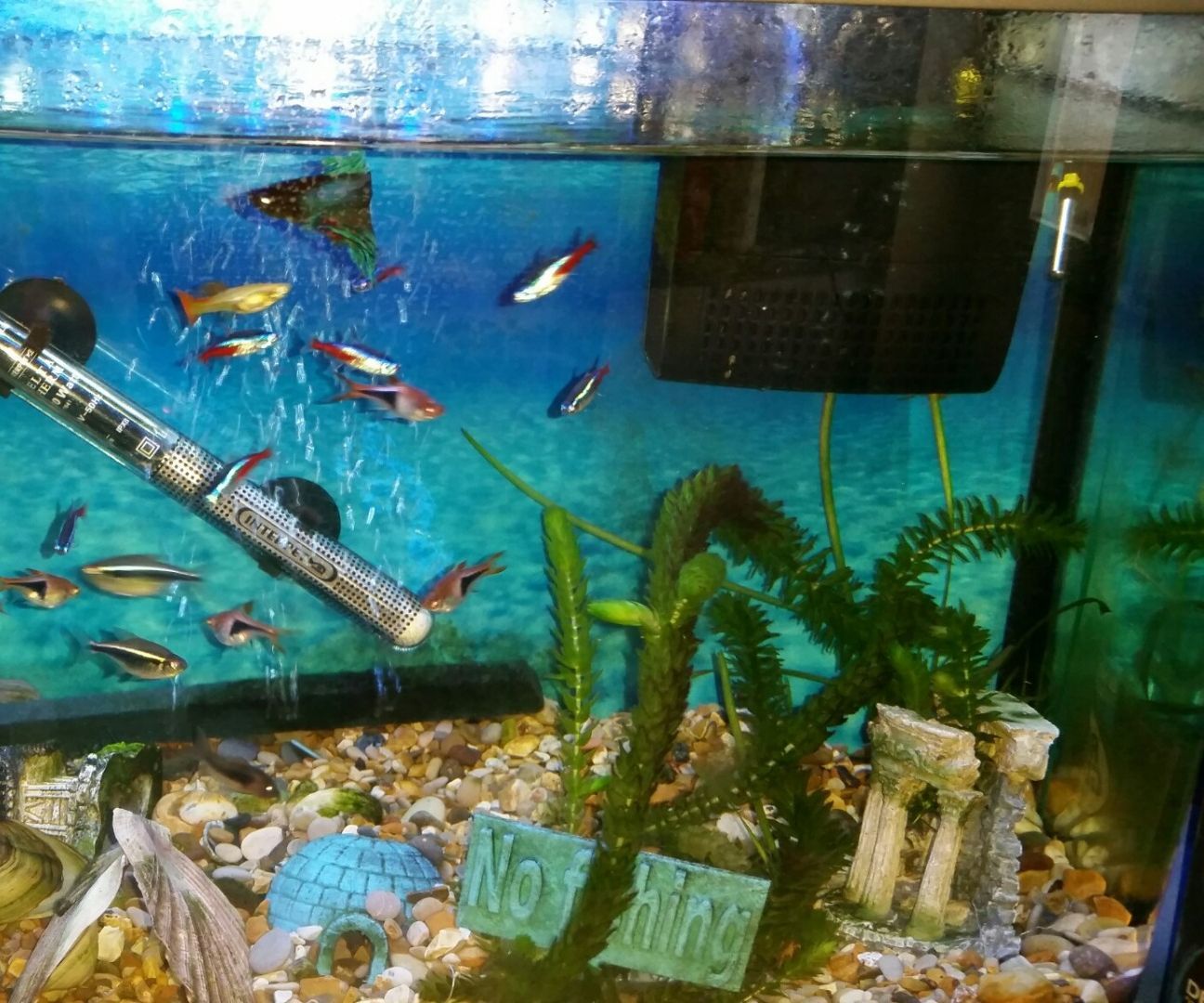 LinkIt One Tutorials - #8 DS18B20 One Wire Water Temperature Monitor : 4 Steps (with Pictures ...