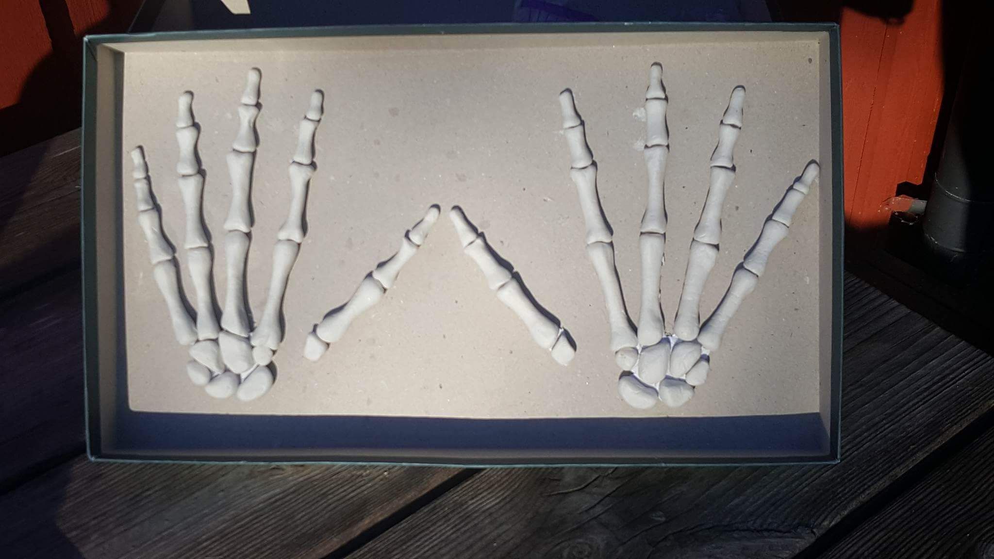 DIY Skeleton Bottles : 11 Steps (with Pictures) - Instructables