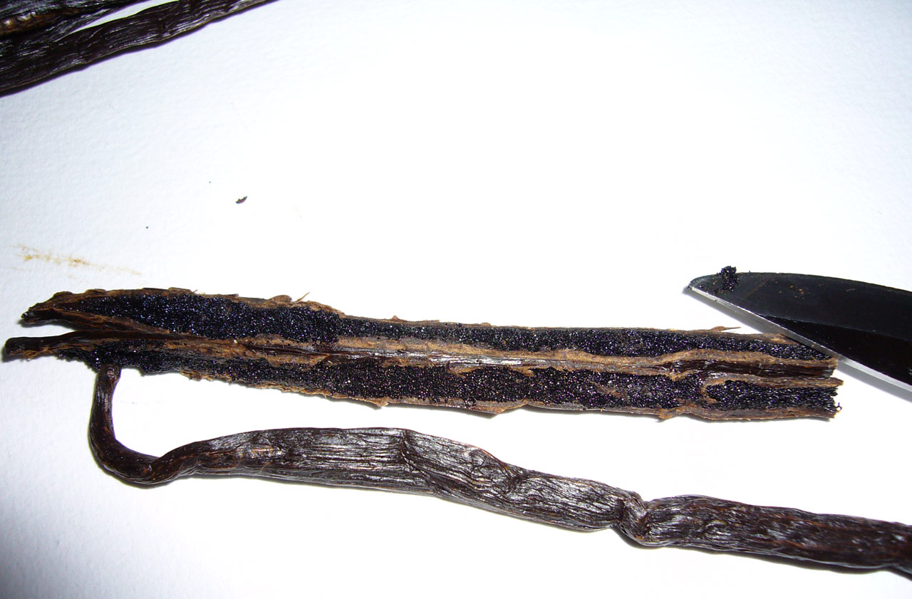 Make Vanilla Extract : 23 Steps (with Pictures) - Instructables