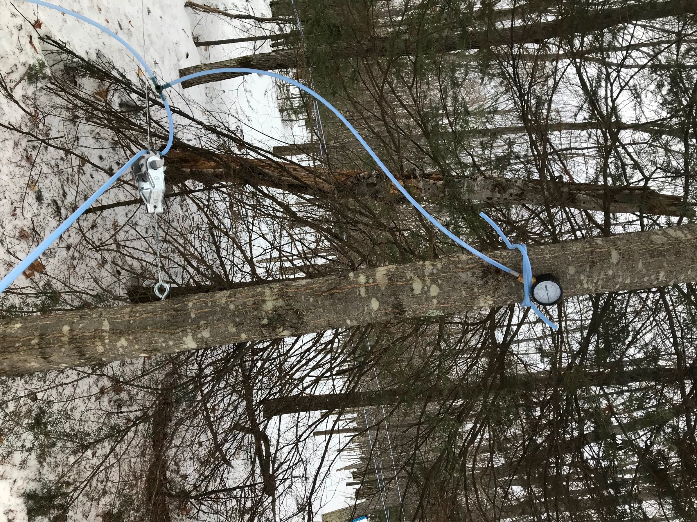 Off Grid Solar Powered Maple Sap Vacuum System : 7 Steps (with Pictures ...