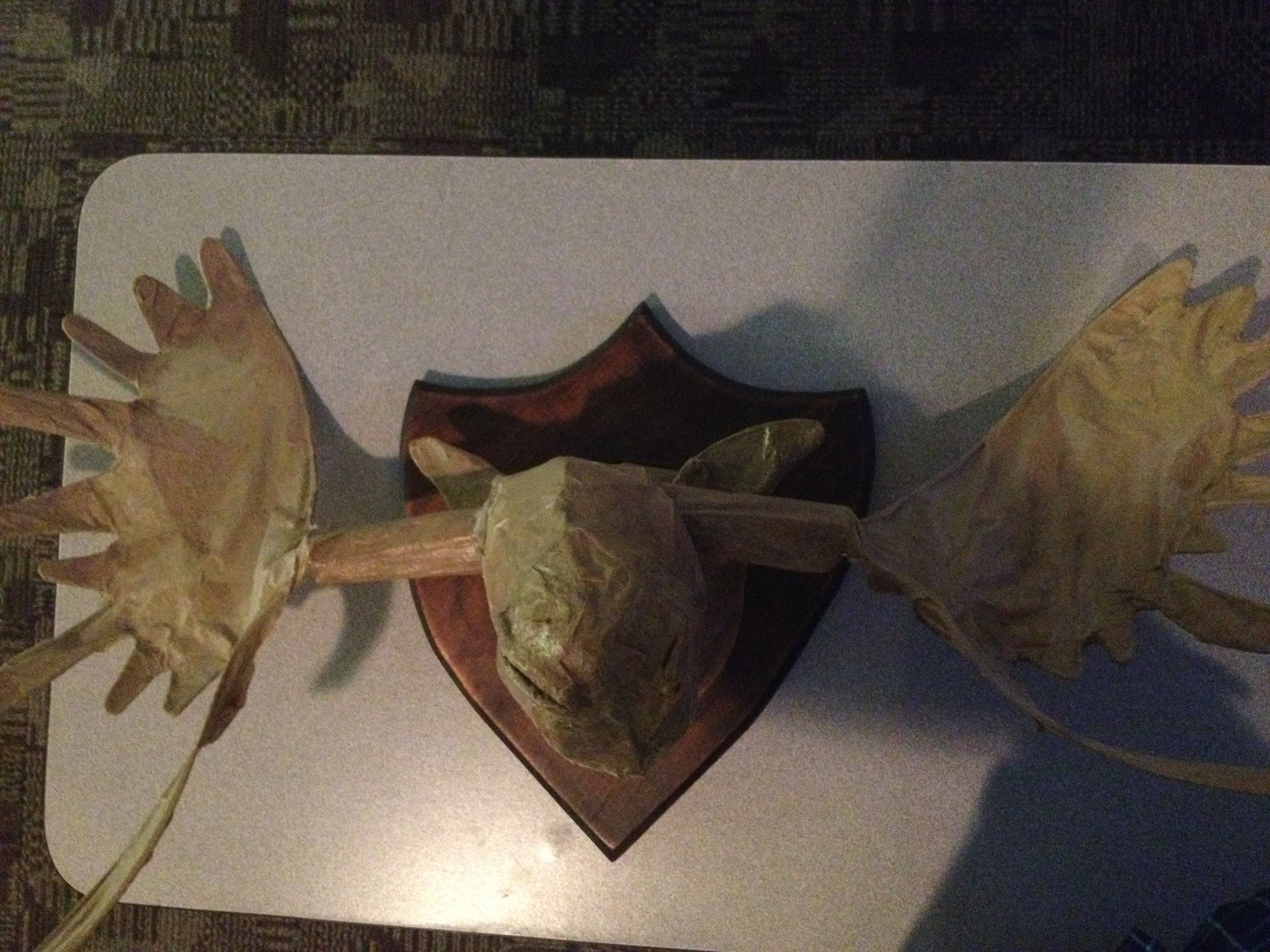 Moose Head - Faux Taxidermy : 10 Steps - Instructables