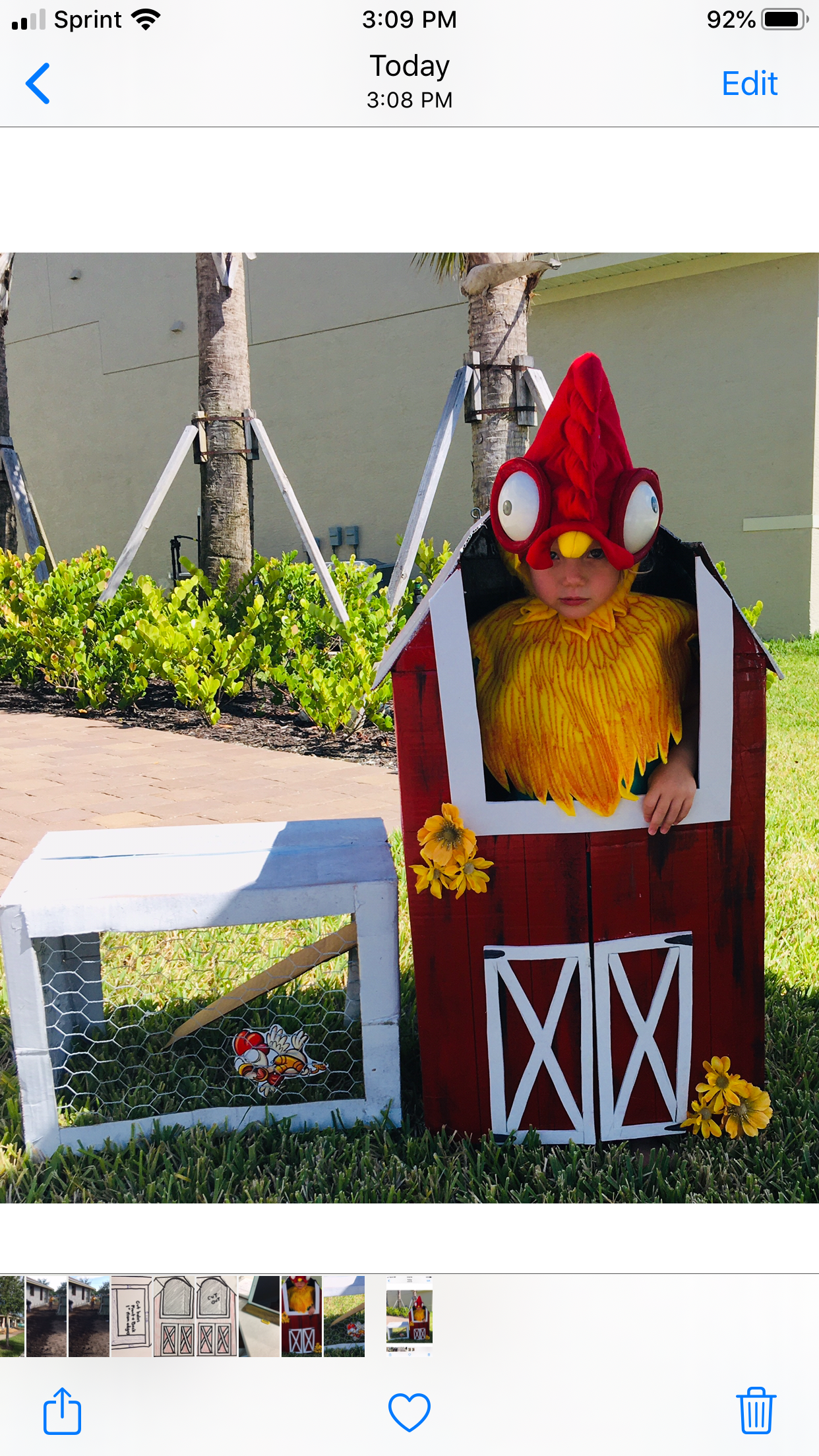 Hei Hei Rooster in a Hen House : 5 Steps - Instructables