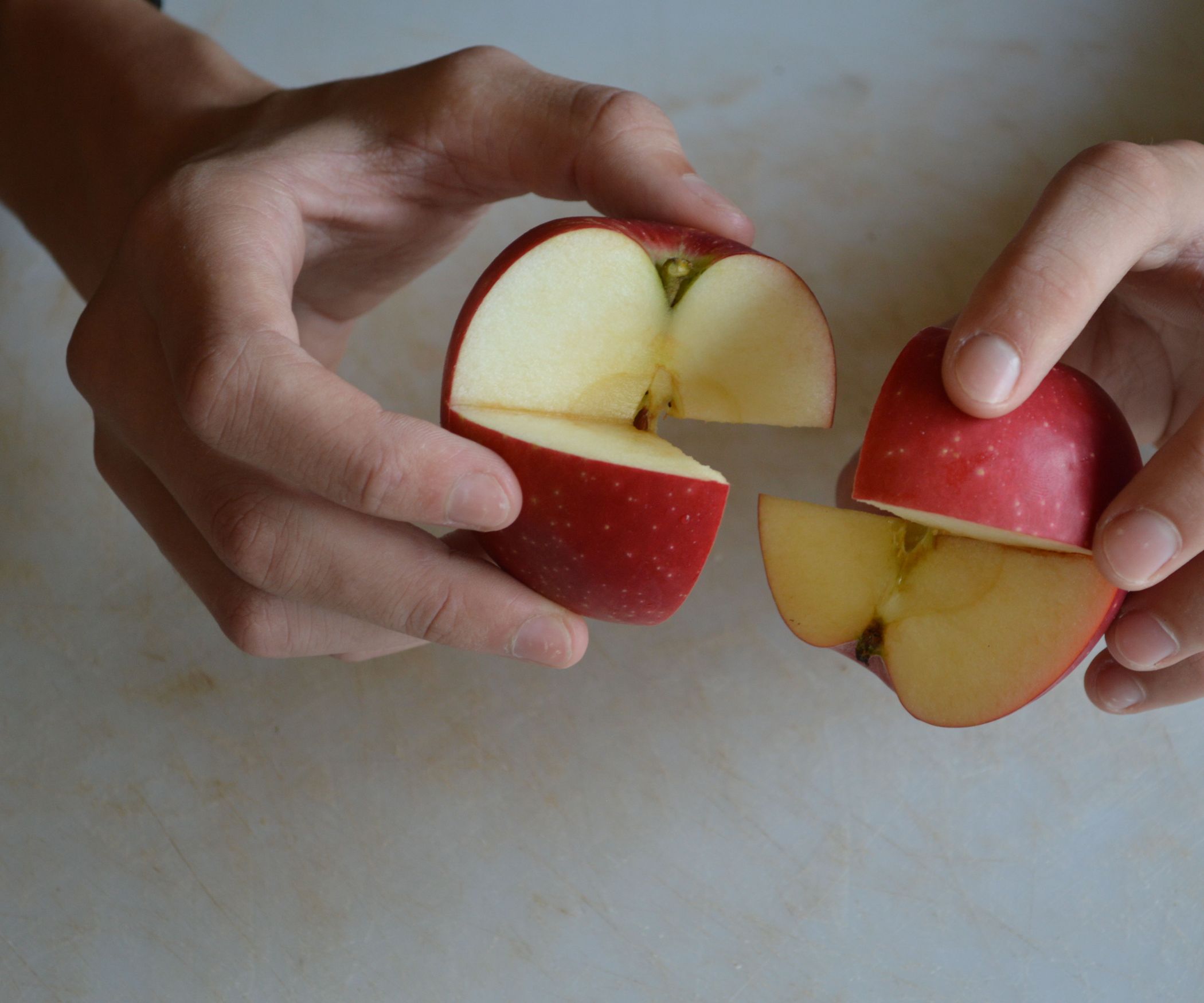 Apple Puzzle - Instructables