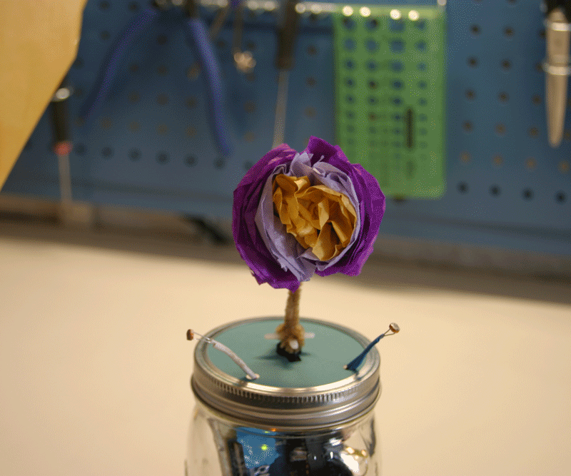 Create an Arduino Controlled Light-Following Flower Bot : 10 Steps (with Pictures) - Instructables