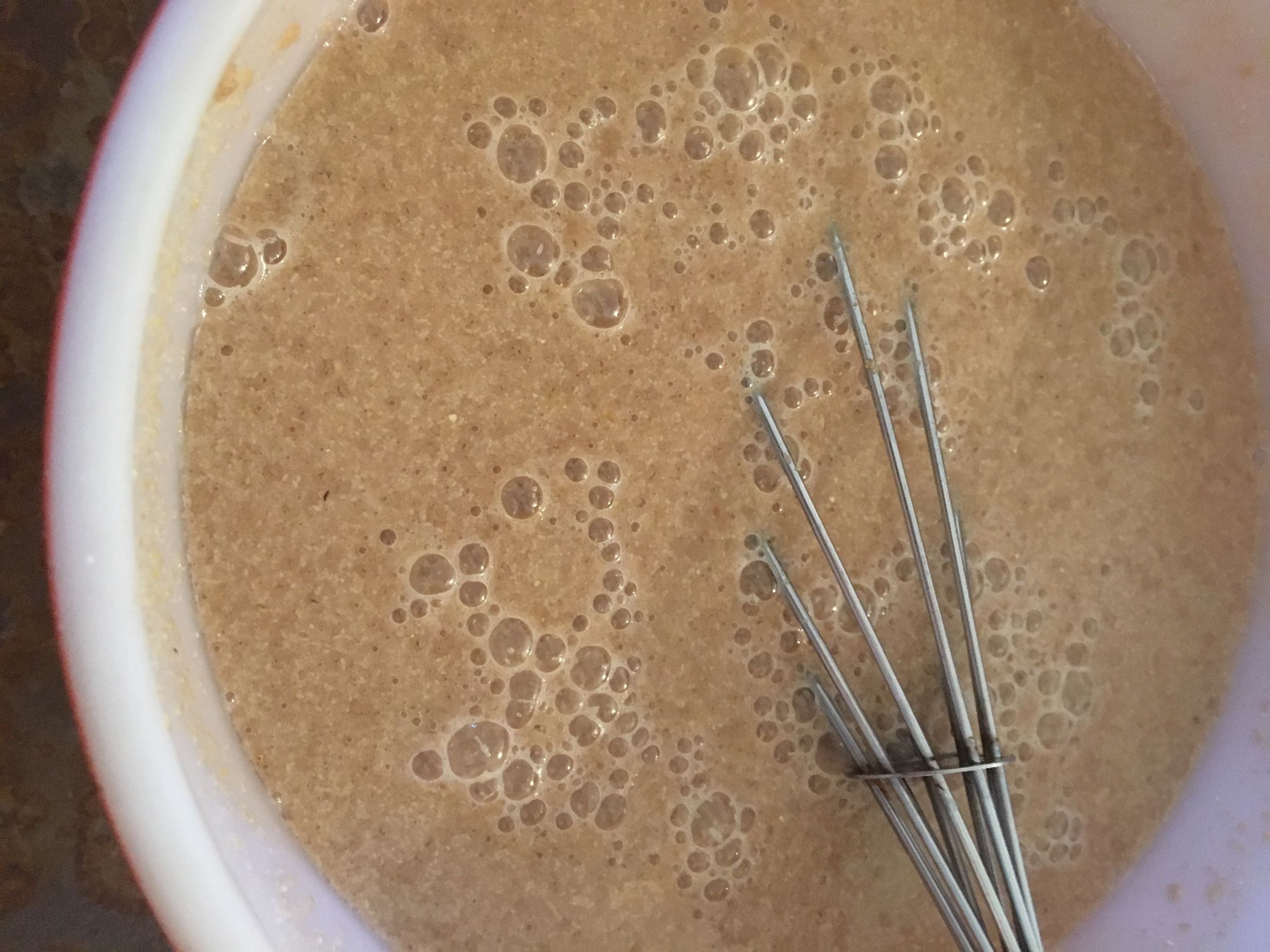 DIY Doggie Septic System With Natural Starter : 14 Steps (with Pictures ...