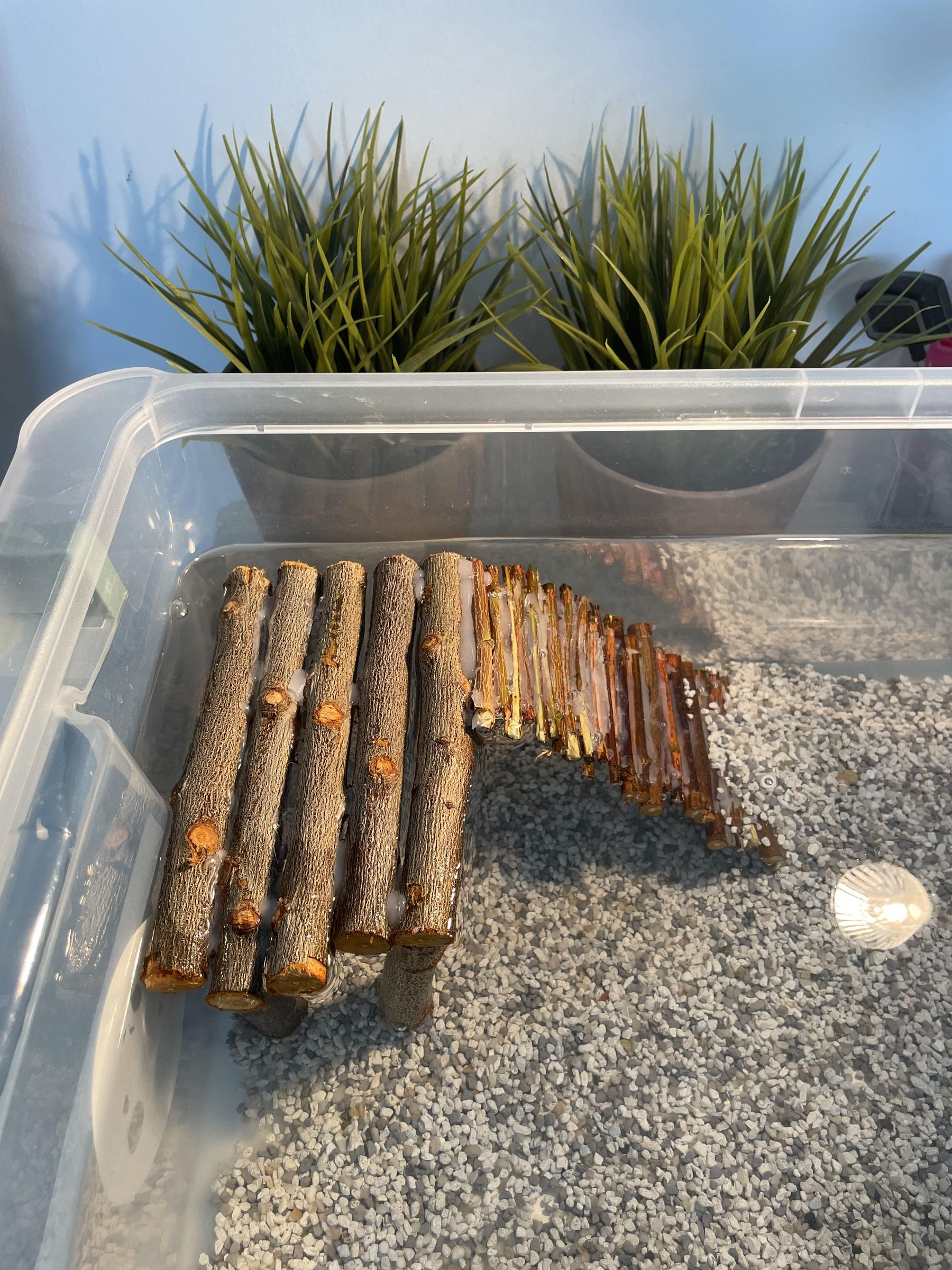 Turtle Basking Area : 6 Steps (with Pictures) - Instructables