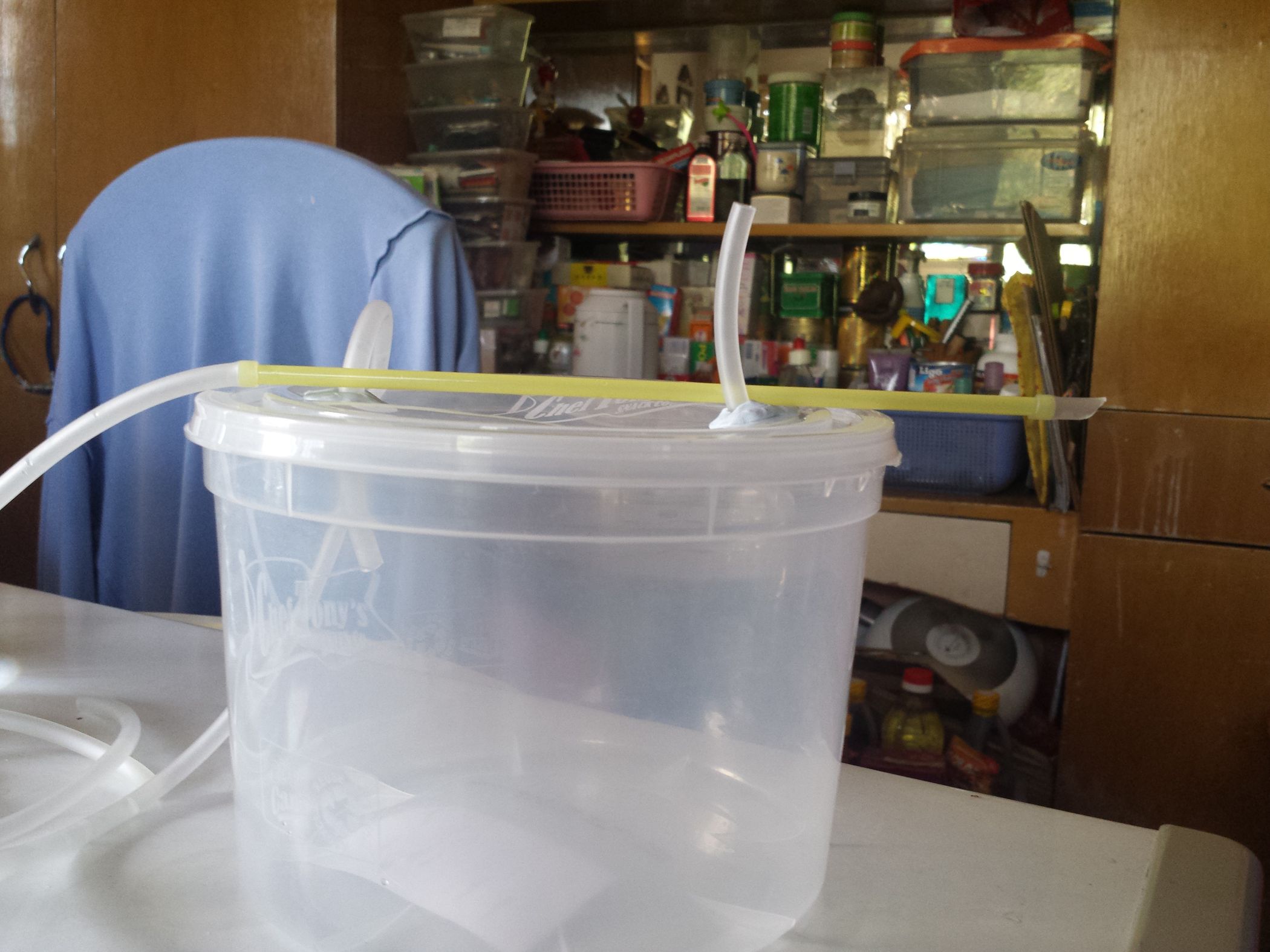 Siphon for Mini Aquariums : 9 Steps (with Pictures) - Instructables