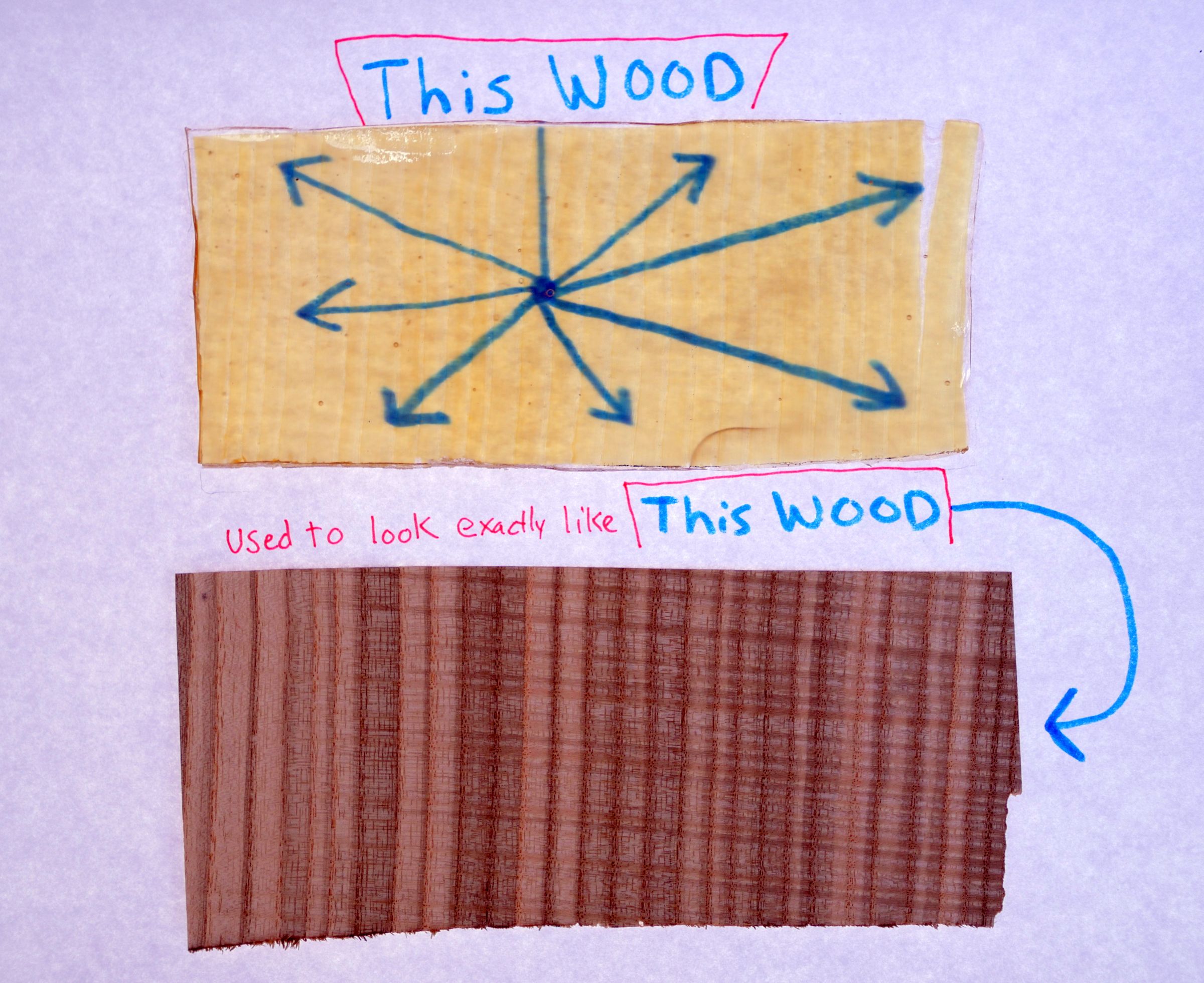 Transparent Wood : 10 Steps (with Pictures) - Instructables