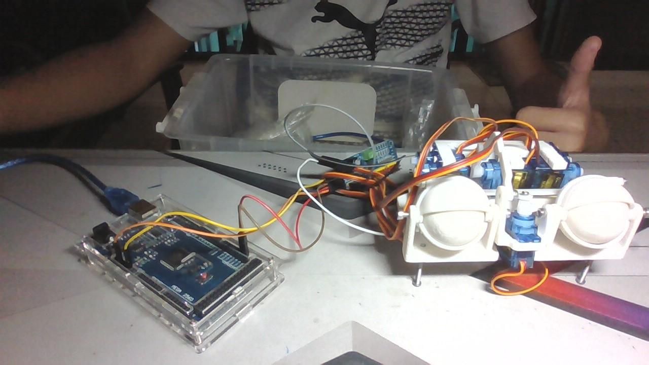 Simplified 3D Printed Animatronic Dual Eye Mechanism : 4 Steps (with ...
