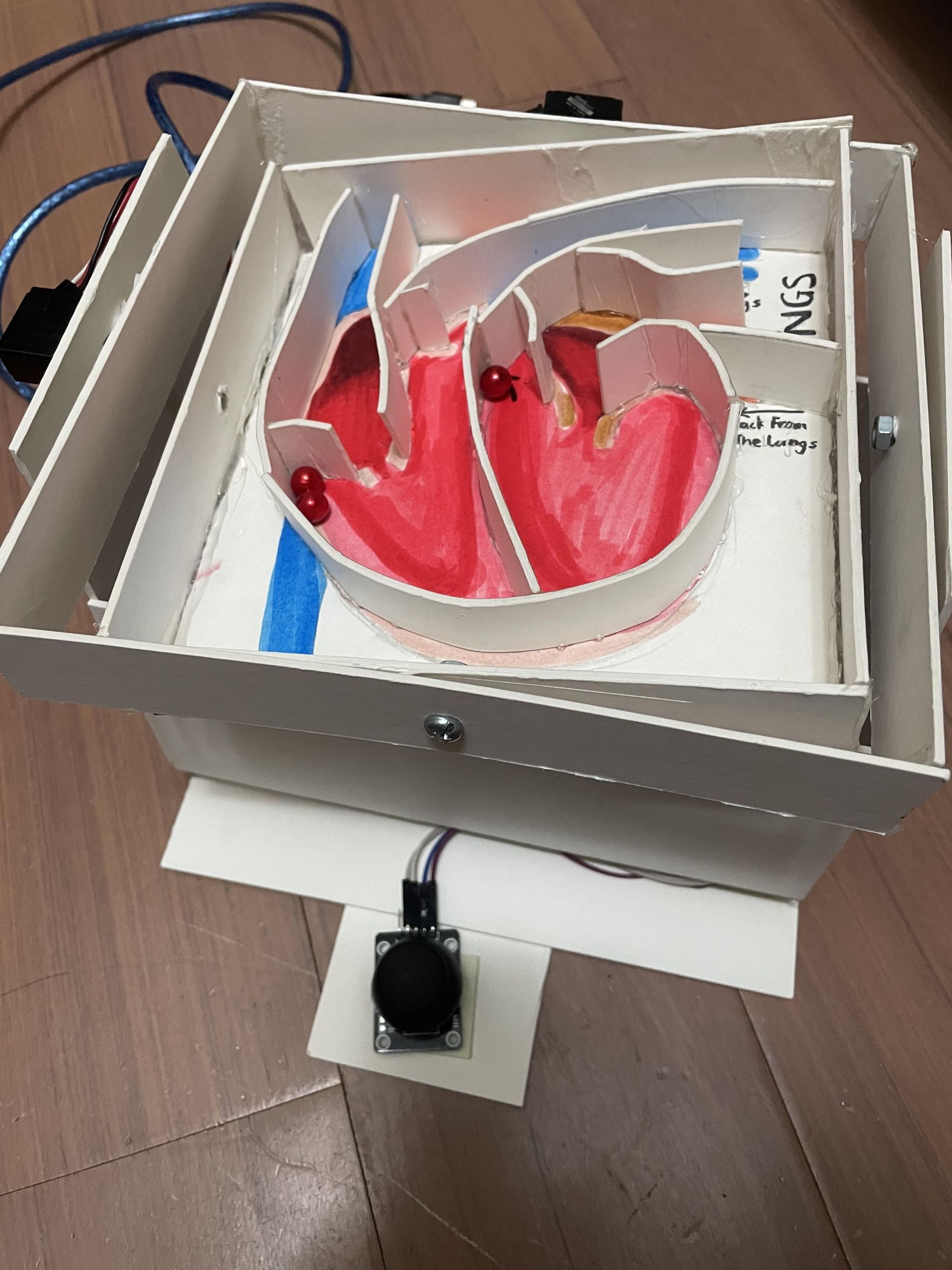 Heart Structure Learning Game : 8 Steps - Instructables