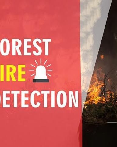 Implementing Forest Fire Object Detection Model With BrainyPi Using ...