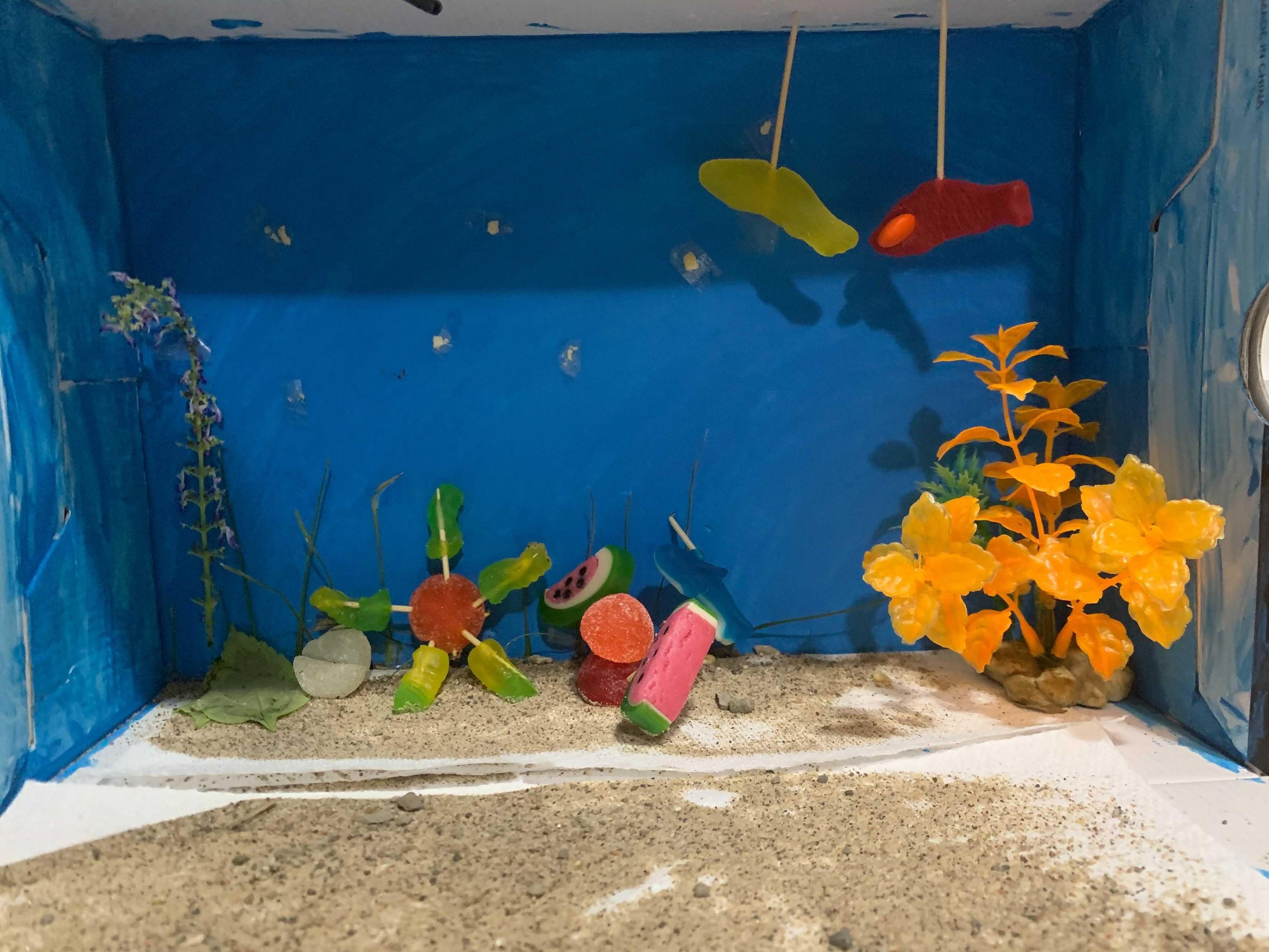 Ocean Biome Project Ideas