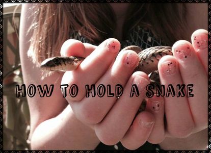 How to Hold a Snake : 3 Steps - Instructables