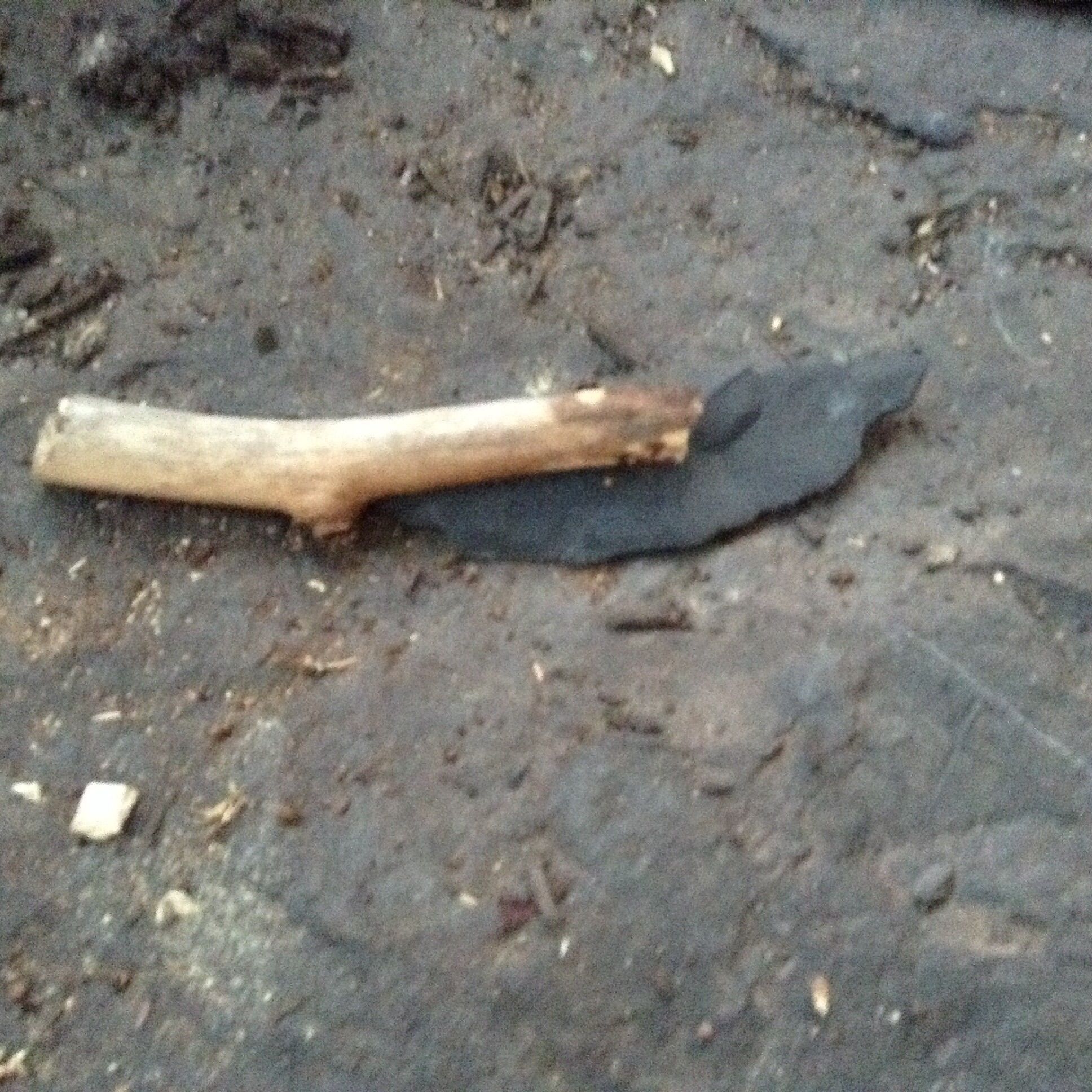 Survival Shelter With Basic Bushcraft Tools : 6 Steps (with Pictures ...