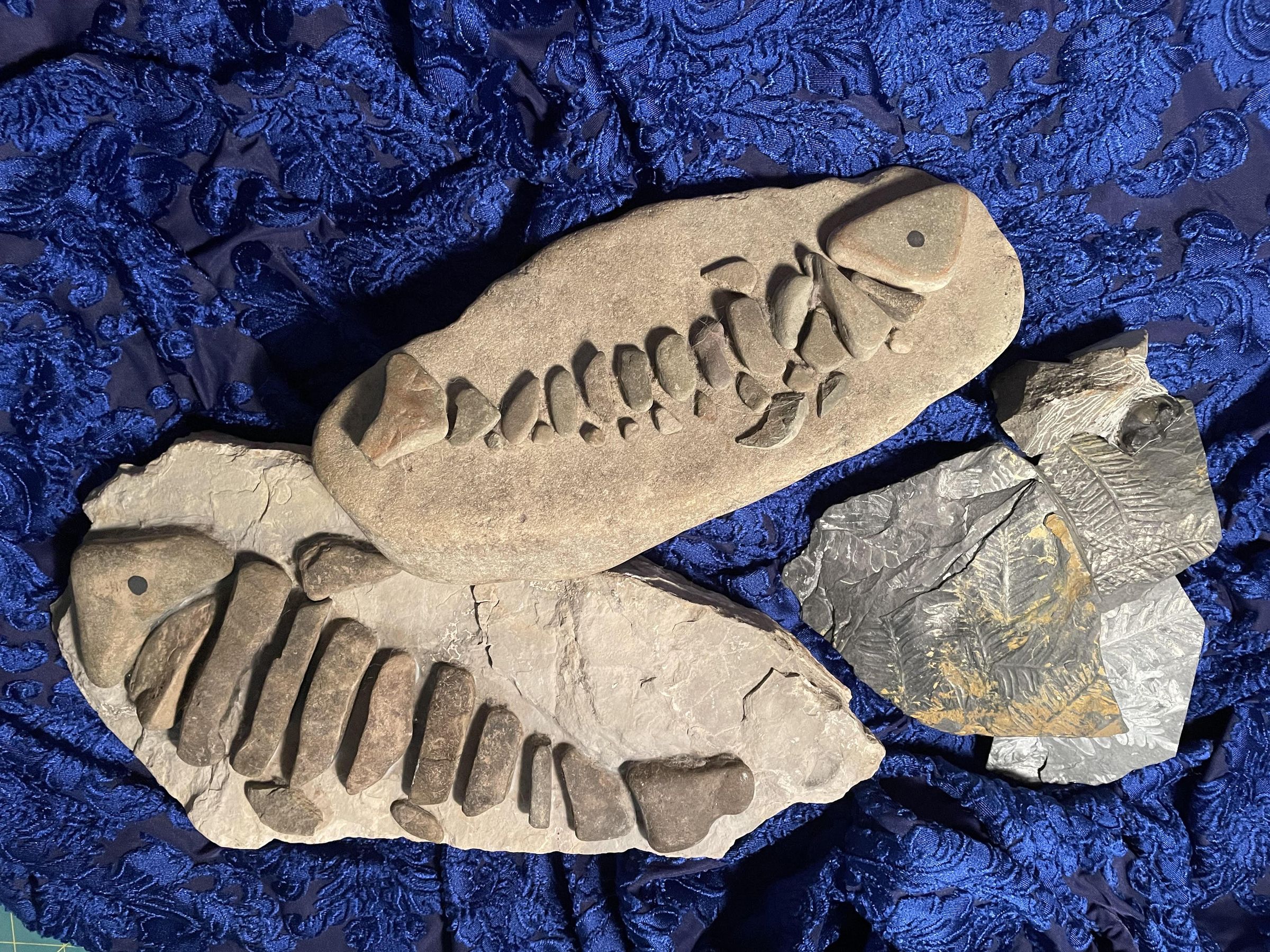 Modern Fossils for Fun - Instructables