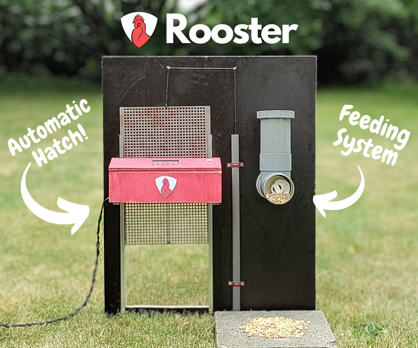 Rooster - Protecting and Feeding Your Chickens Automaticly : 8 Steps ...