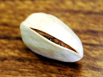 How to Open a Pesky Pistachio Nut : 3 Steps (with Pictures) - Instructables