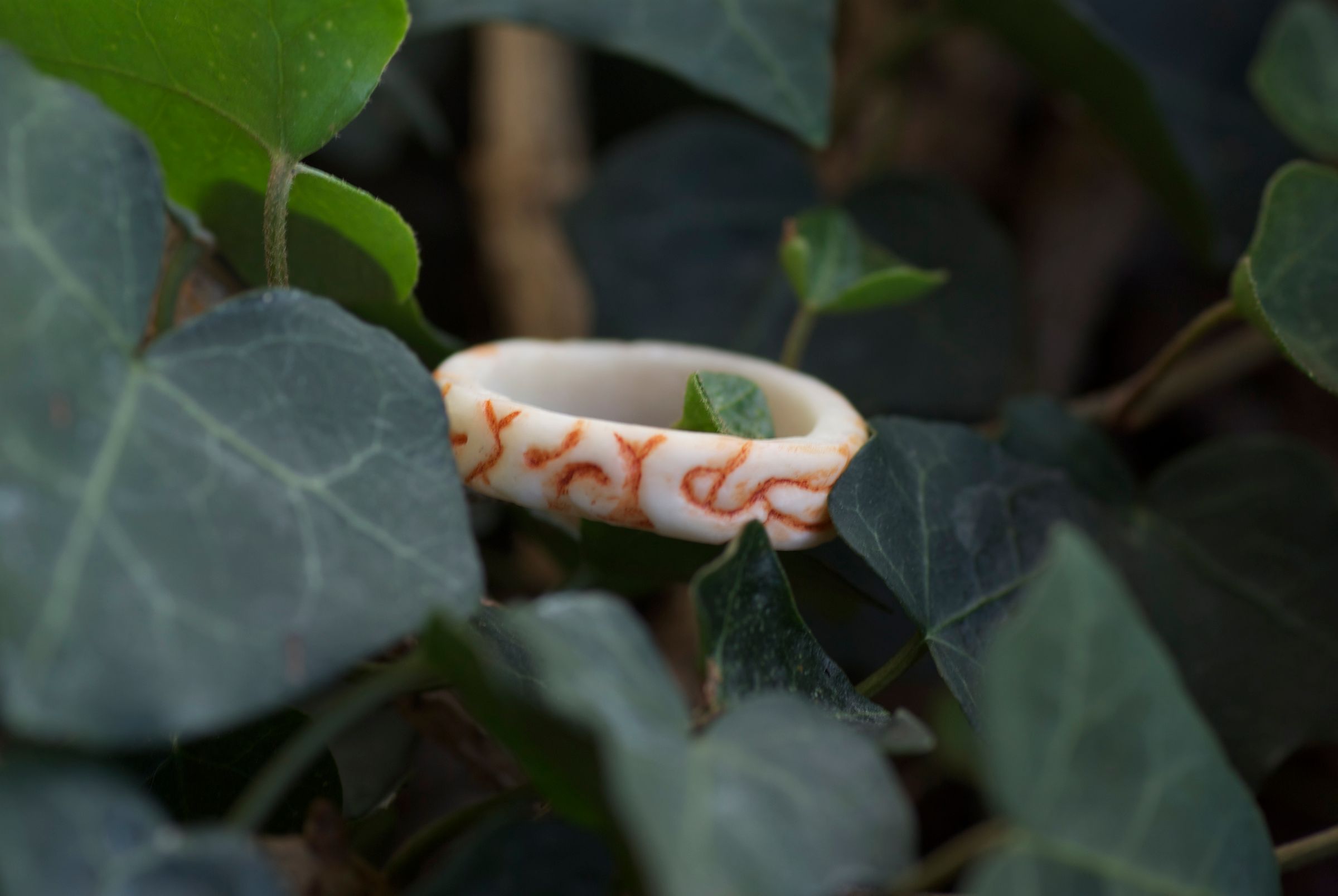 Celtic Knot Bone Ring : 9 Steps (with Pictures) - Instructables