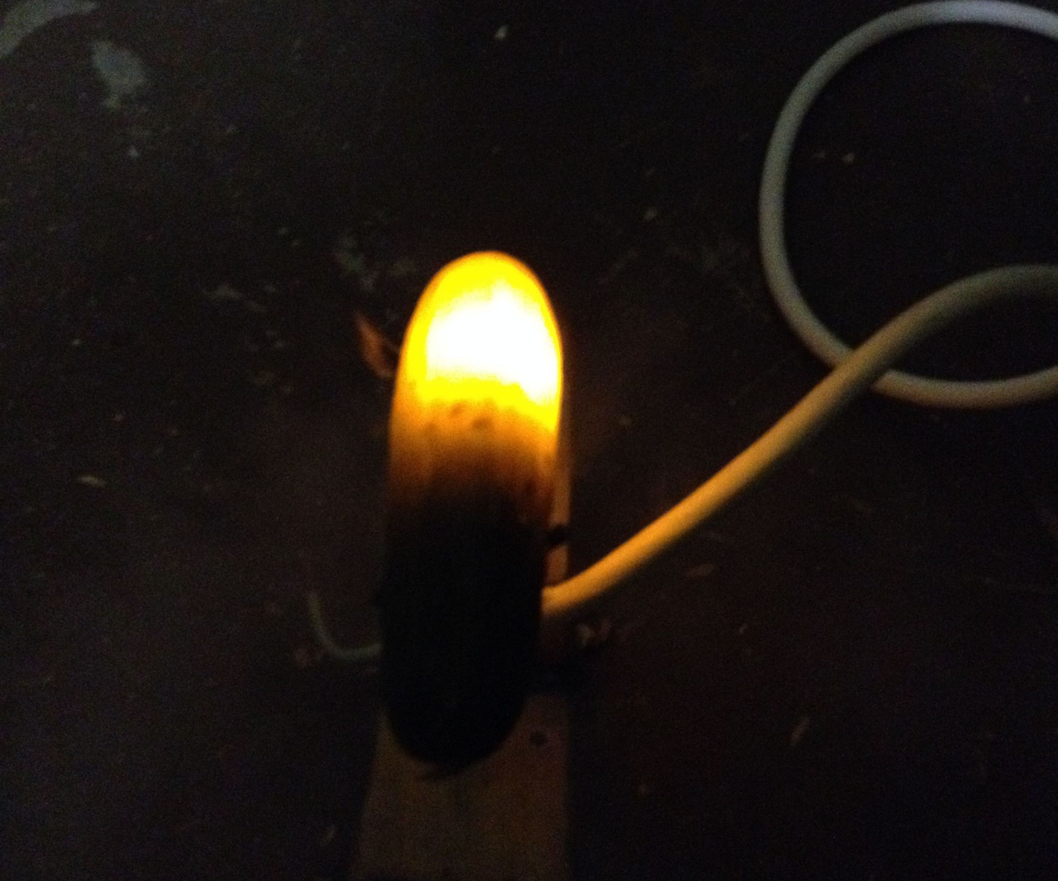Glowing Pickle : 5 Steps - Instructables