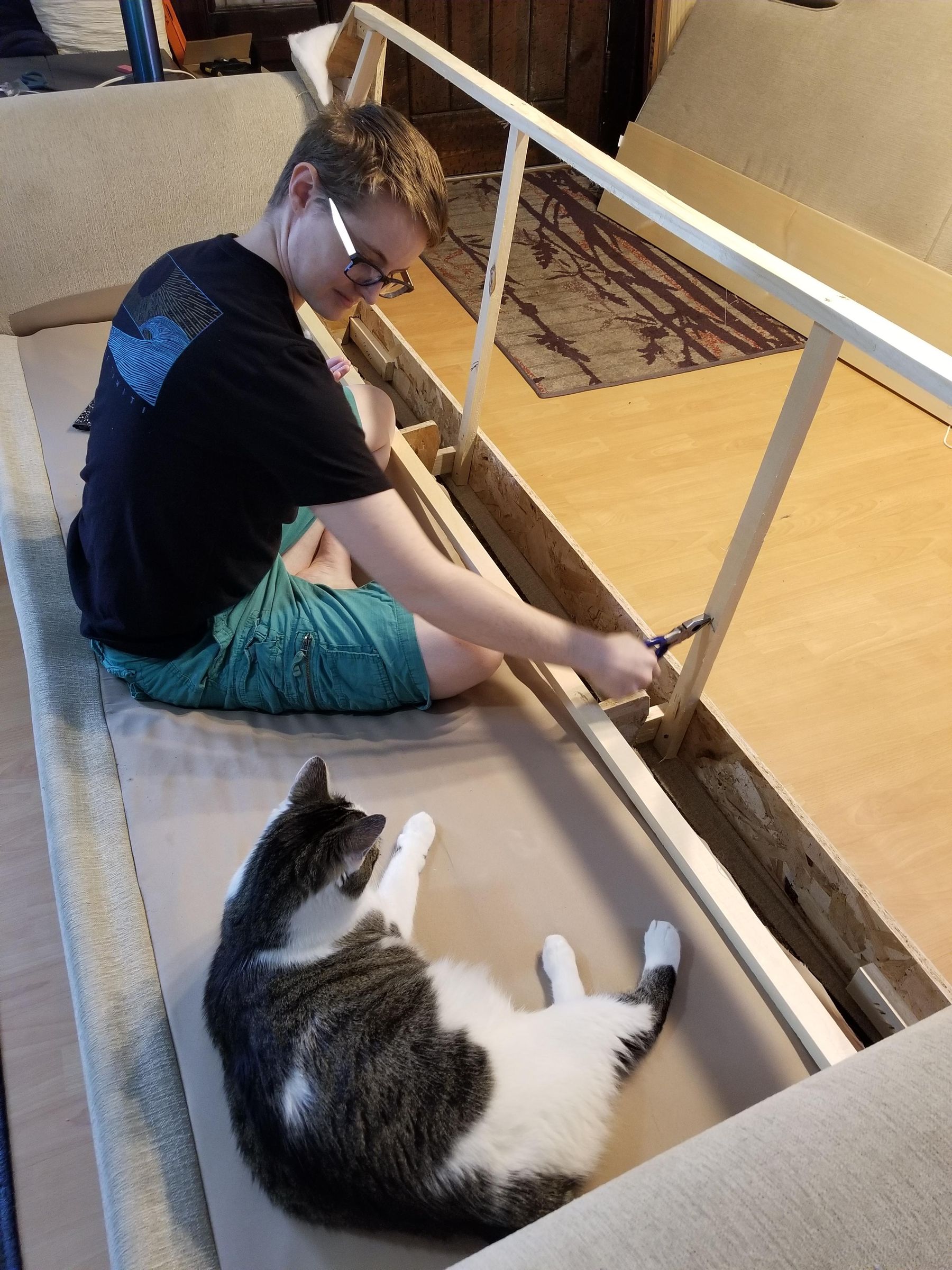 Couch Hack for Your Cat : 14 Steps (with Pictures) - Instructables