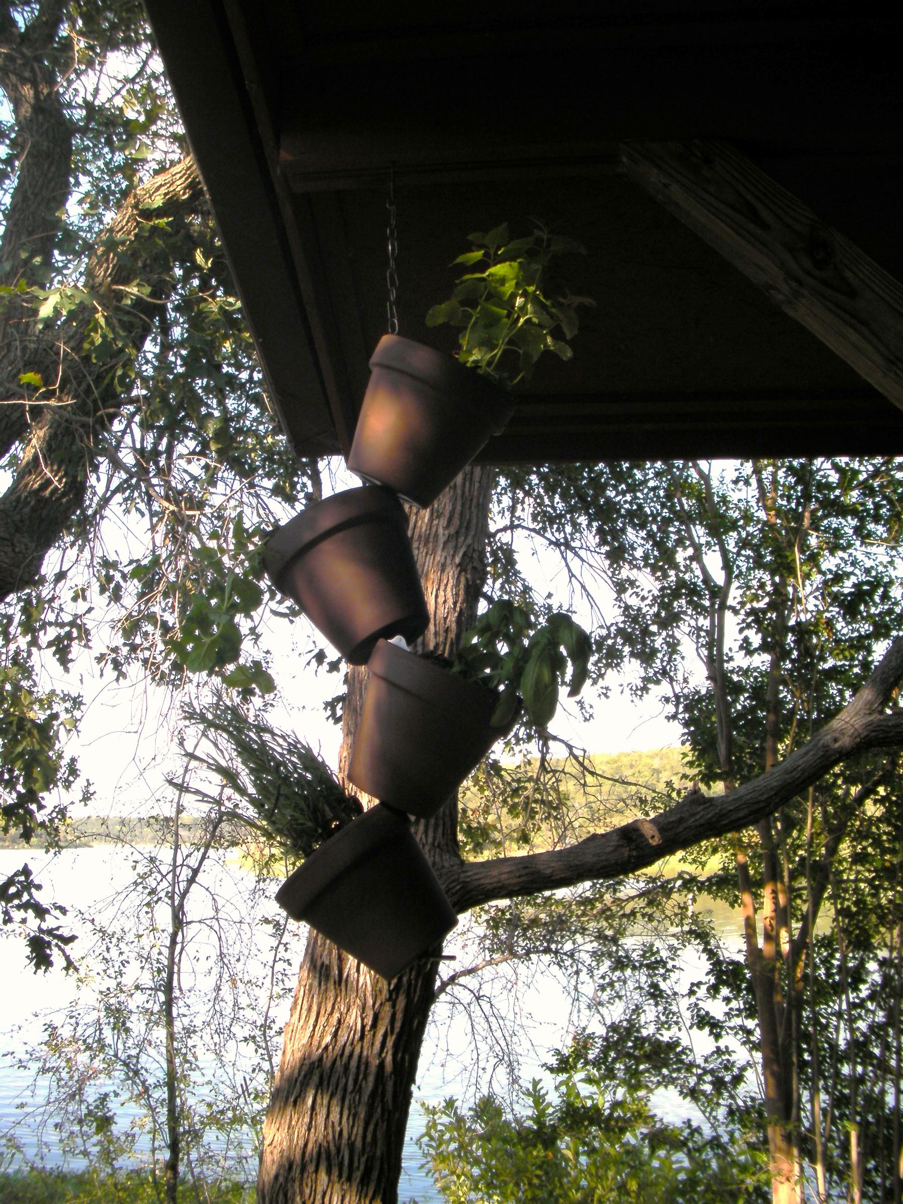 Make a Hanging Garden : 4 Steps (with Pictures) - Instructables