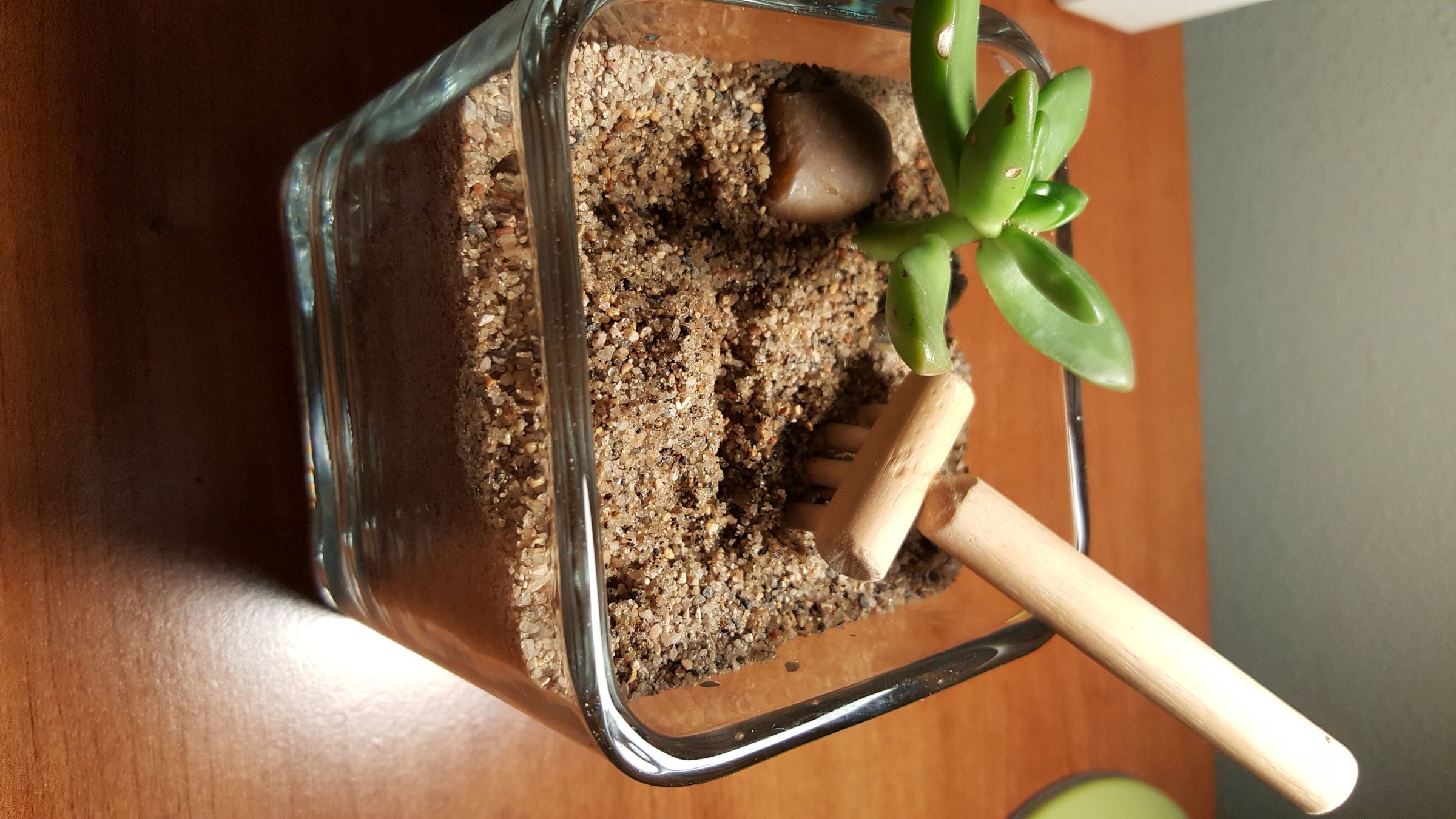 Desktop Zen Garden : 9 Steps (with Pictures) - Instructables