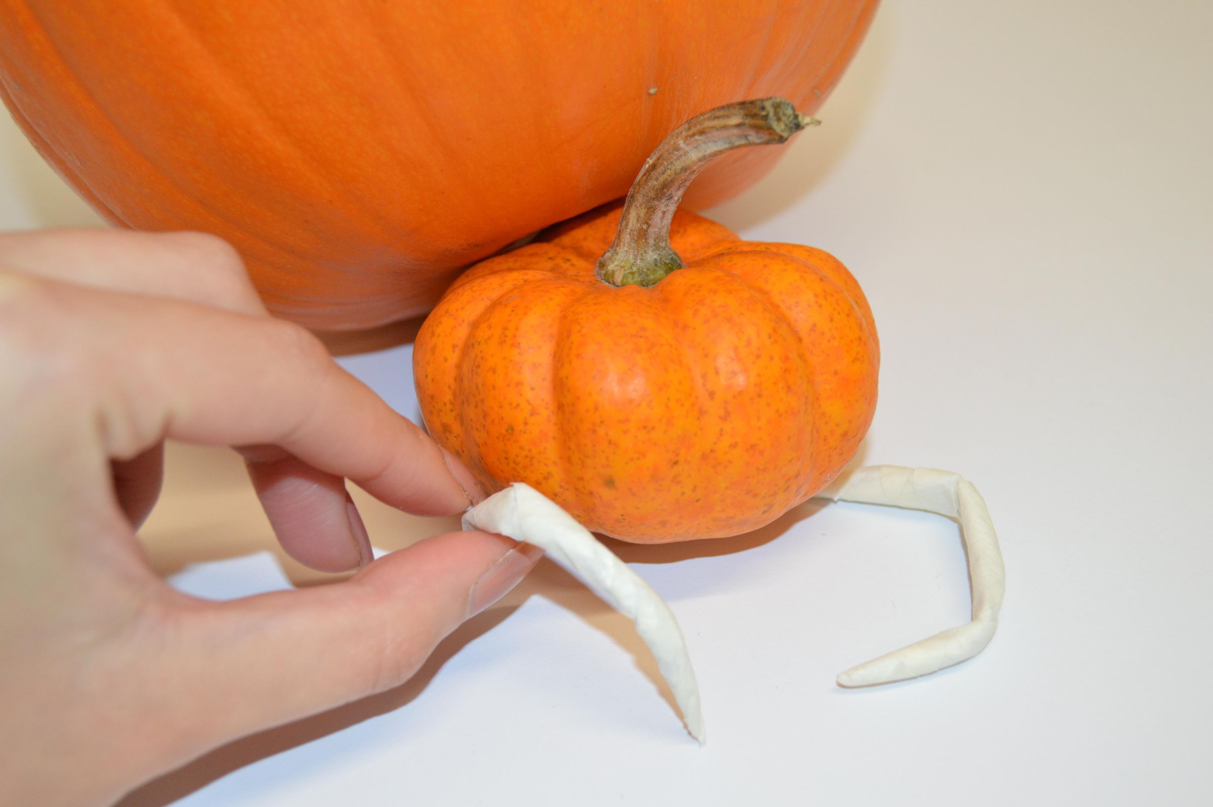Spider Pumpkin - Jack O' Lantern : 16 Steps (with Pictures) - Instructables