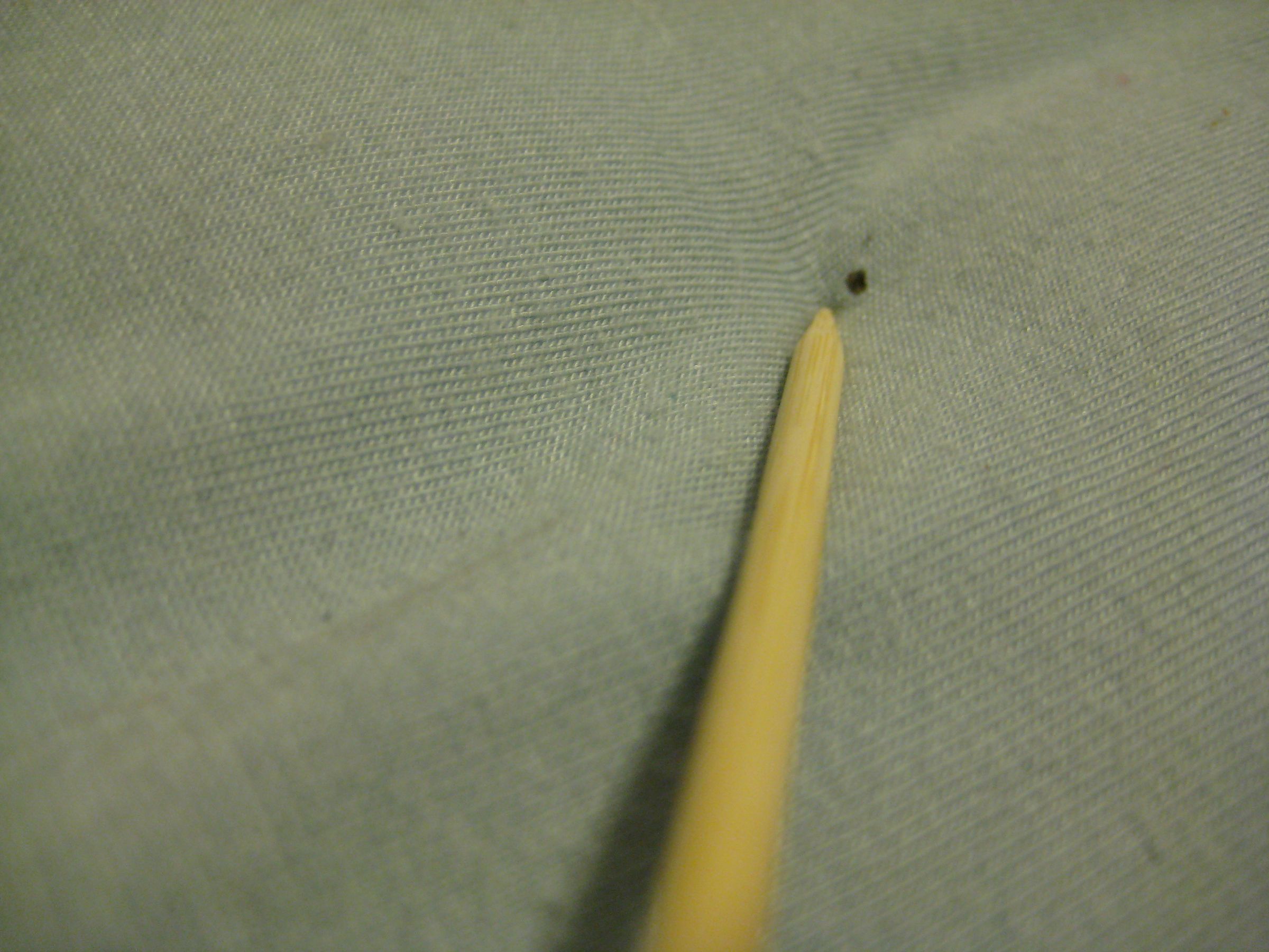 How to Catch Fleas : 7 Steps - Instructables