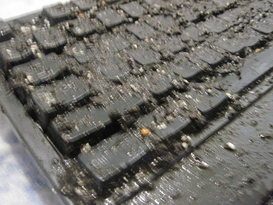 Grow a Keyboard : 10 Steps (with Pictures) - Instructables