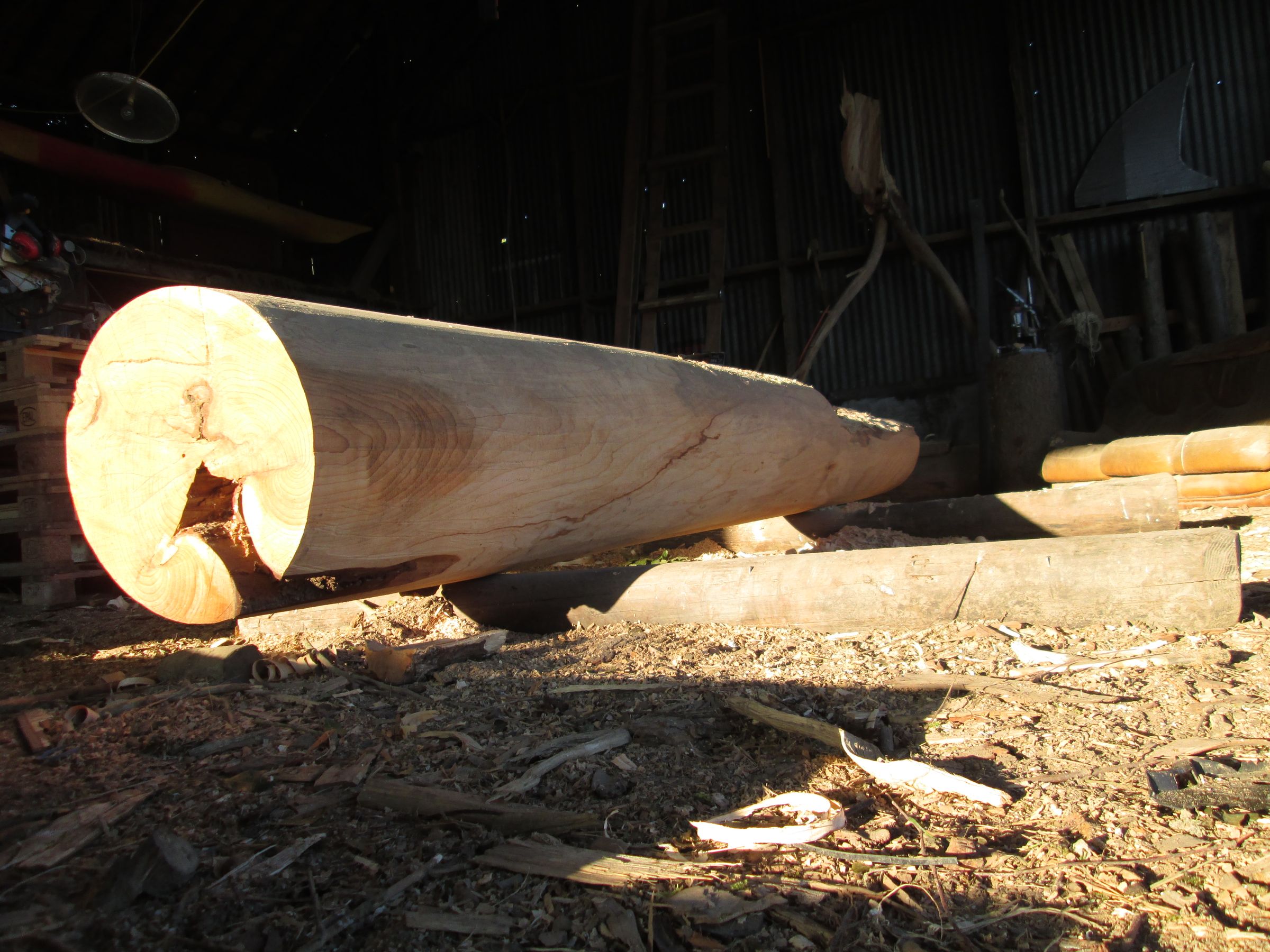 Building a Wrong Cedar Dugout Outrigger Concept Canoe : 50 Steps (with ...