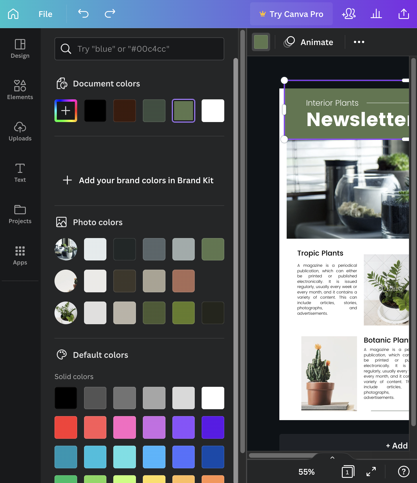 How to Design a Newsletter in Canva: Basics : 12 Steps - Instructables