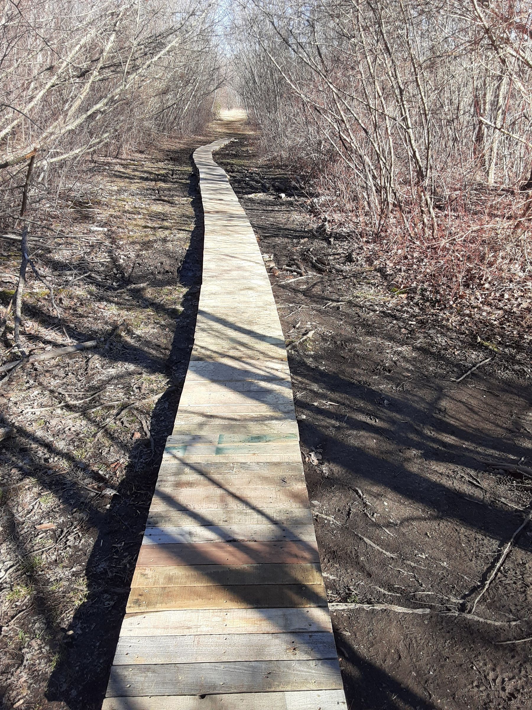 Upcycled Nature Board Walk : 6 Steps (with Pictures) - Instructables