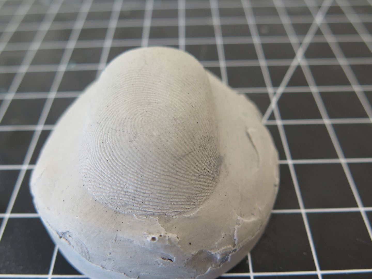 Homemade Fossils! : 5 Steps (with Pictures) - Instructables